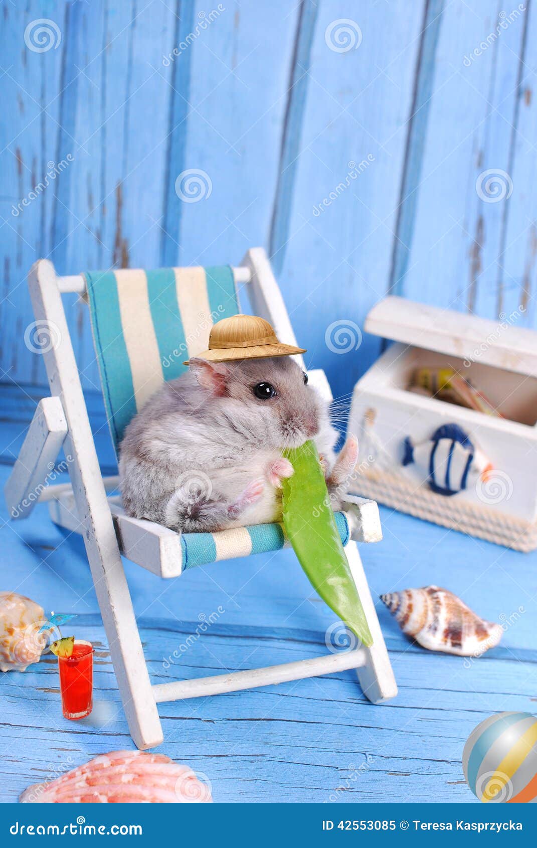 Het Grappige Hamster Ontspannen Op De Zomervakantie Stock Afbeelding ...