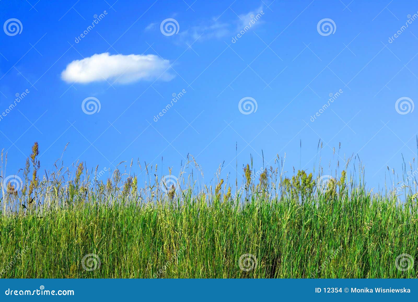 Het Gras Van De Weide En Een Blauwe Hemel Stock Foto - Image of wolken ...