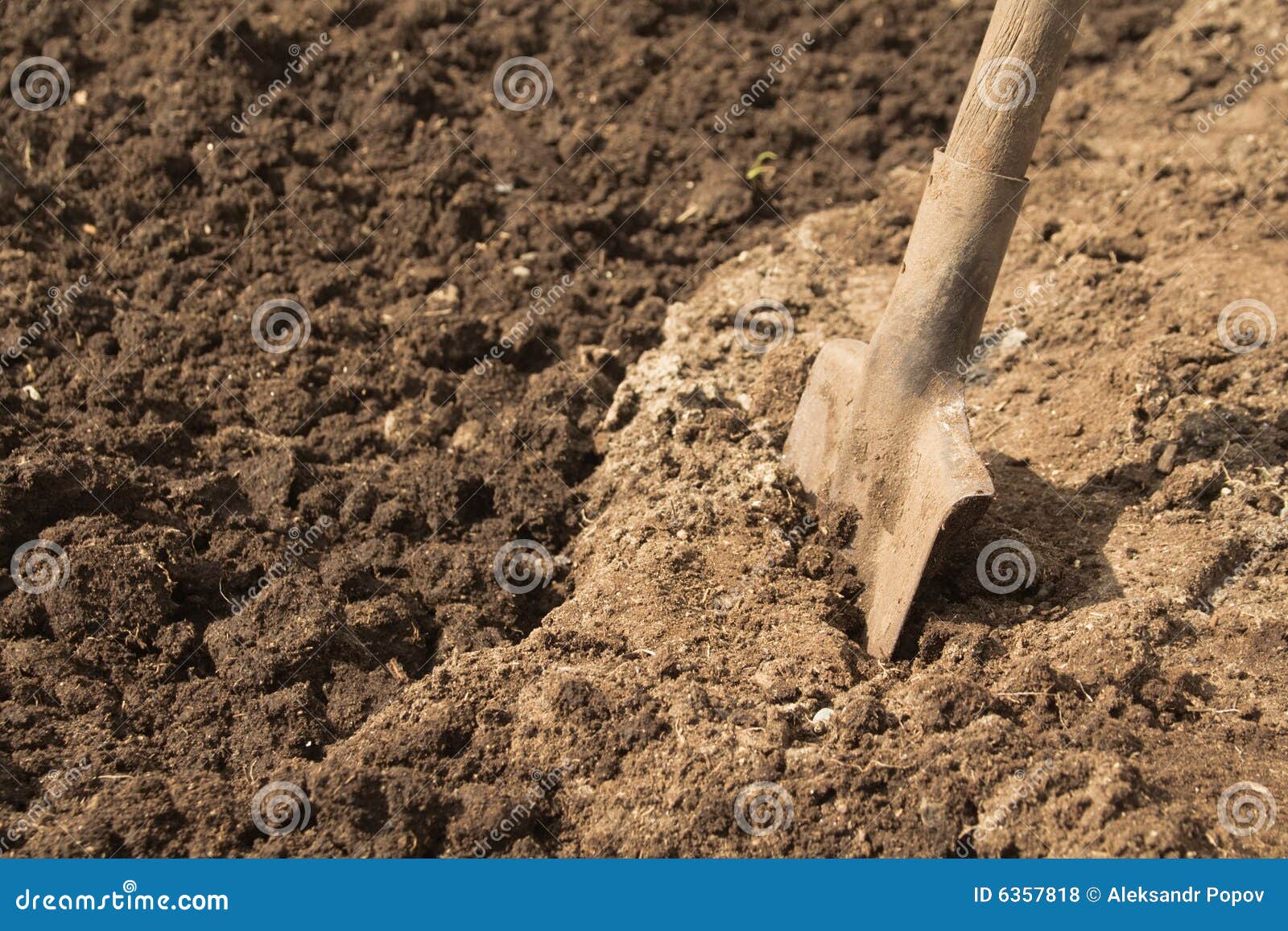 Het graven stock foto. Image of houten, schop, nave, ingebed - 6357818
