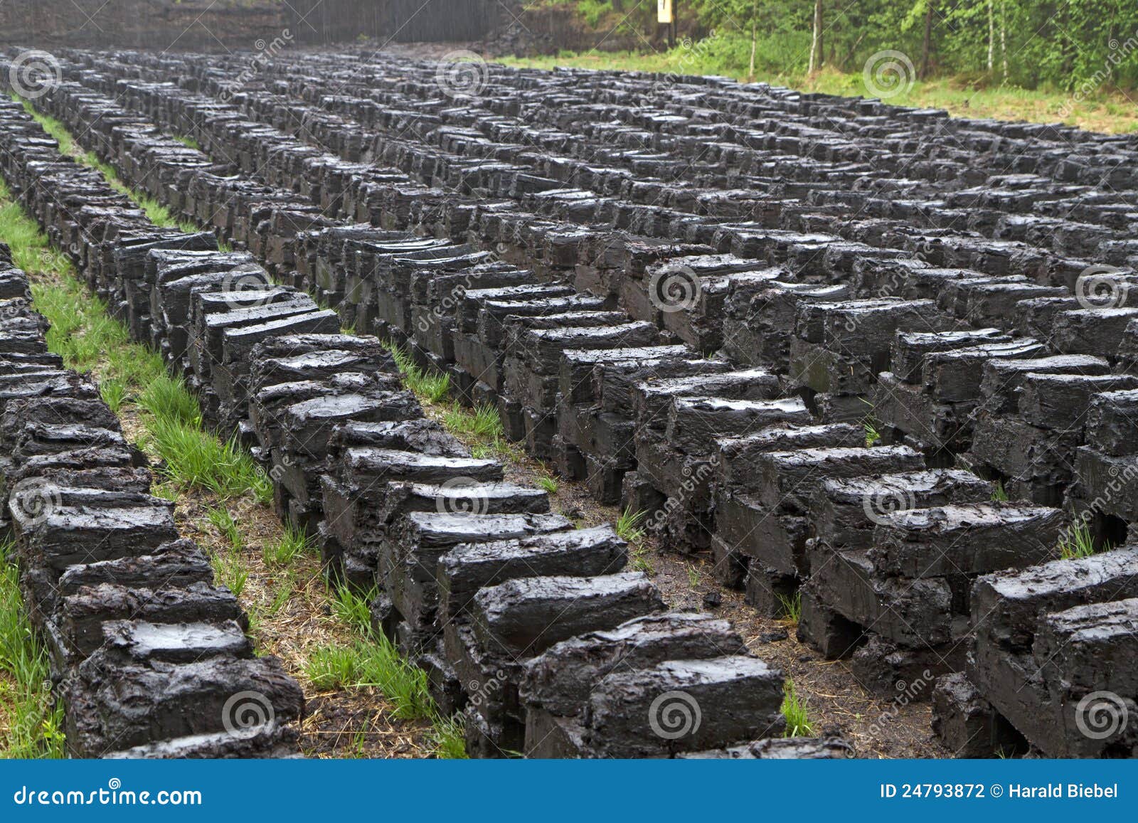 Het Graven Van De Turf in Beieren, Duitsland Stock Foto - Image of ...