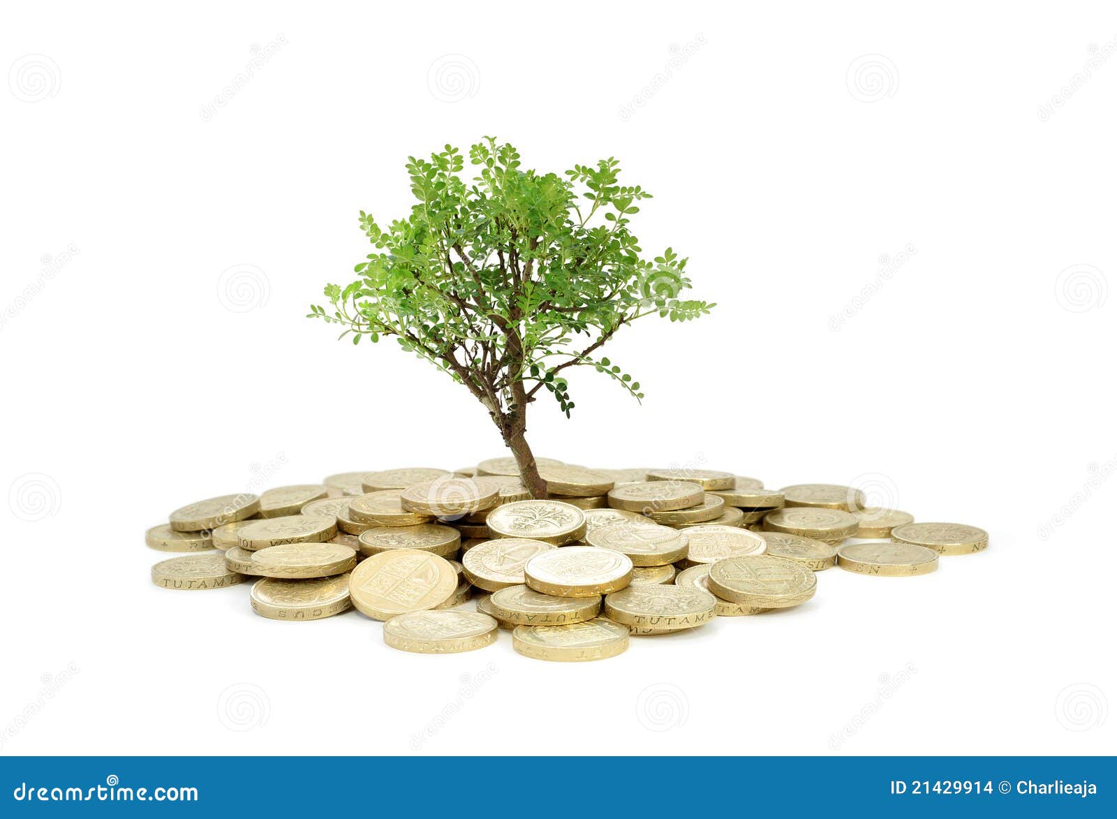 Het Groeien Van De Boom Van Geld Stock Foto - Image of metafoor, nave ...