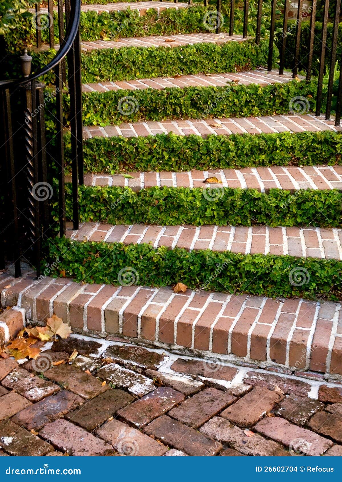 Het groen van de trap stock foto. Image of leuning, trap - 26602704