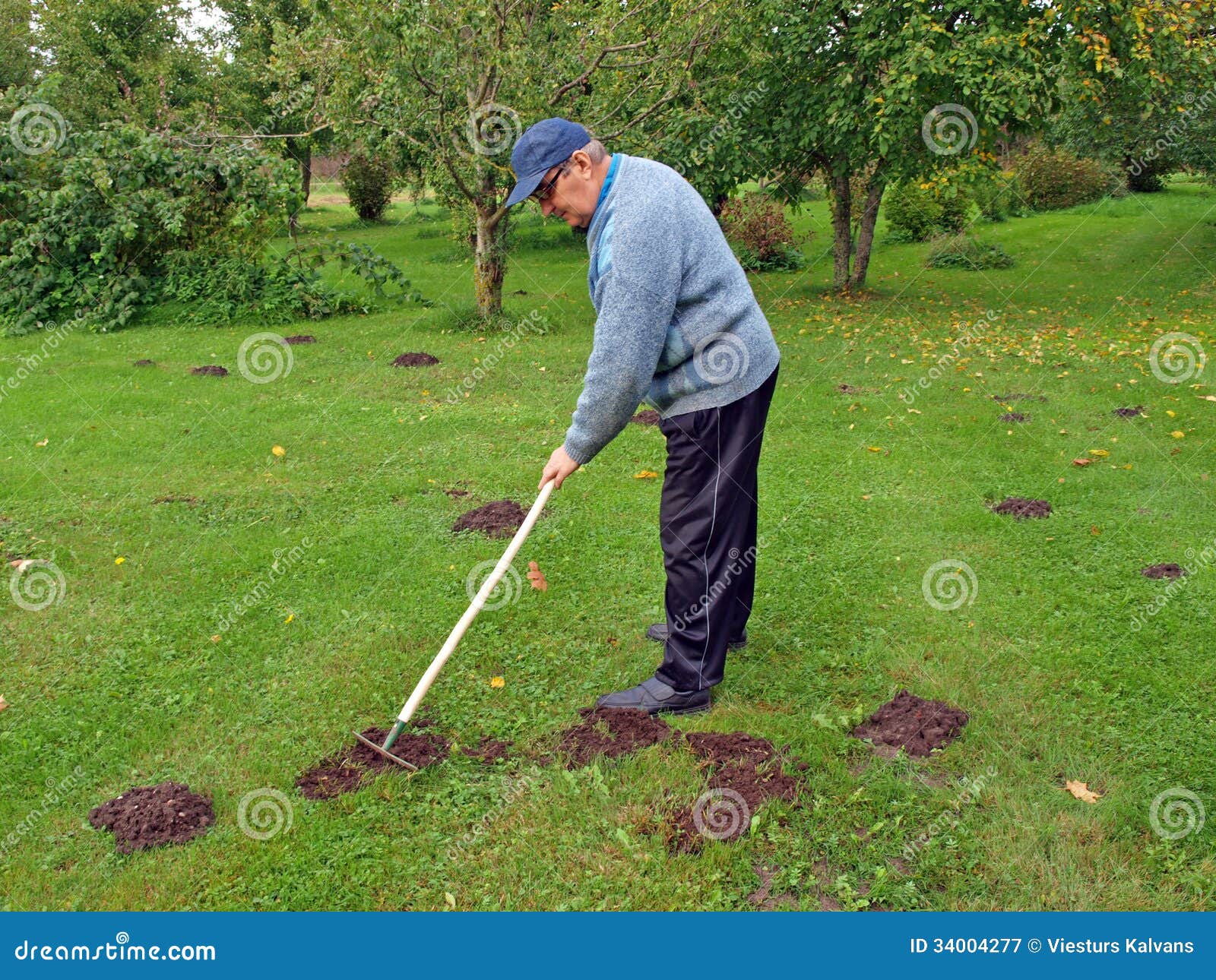 Het harken van molshopen 2 stock afbeelding. Image of gebied - 34004277