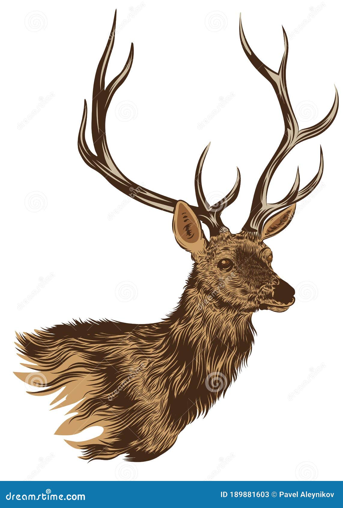 Het Hert. Met De Hand Getekend, Gestileerd Vectorafbeelding Vector ...