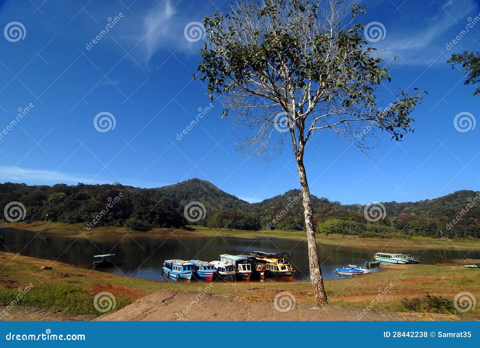 Het Het Nationale Park En Wildreservaat Van Periyar Redactionele Stock ...