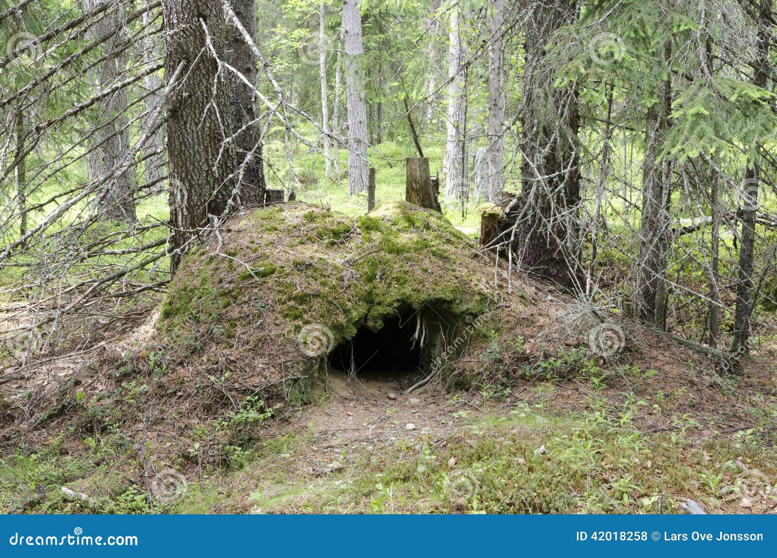 Het hol van de beer stock foto. Image of ingang, verlaten - 42018258