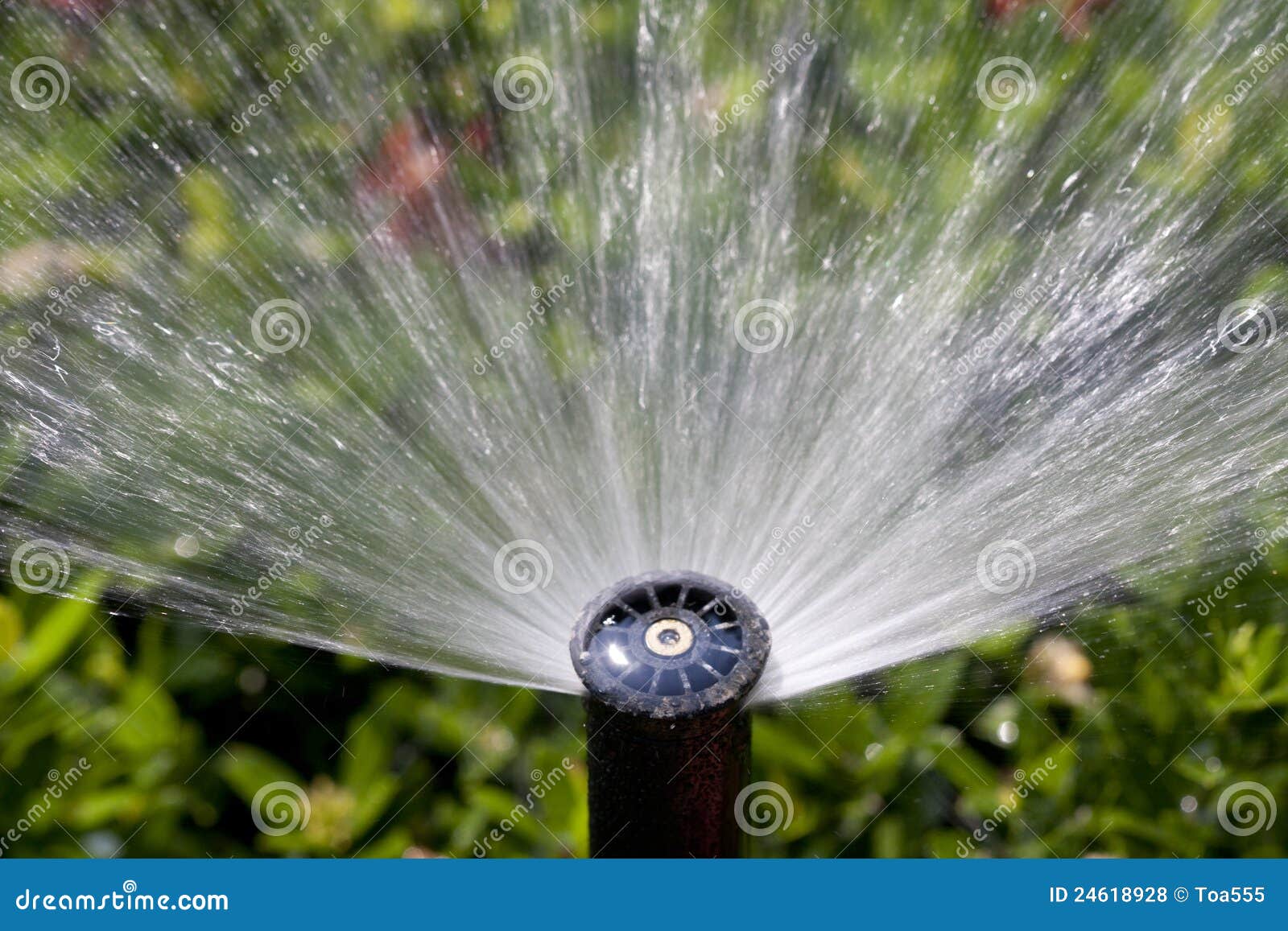 Het Hoofd Dat Van De Sproeier De Struik Water Geeft Stock Foto - Image ...