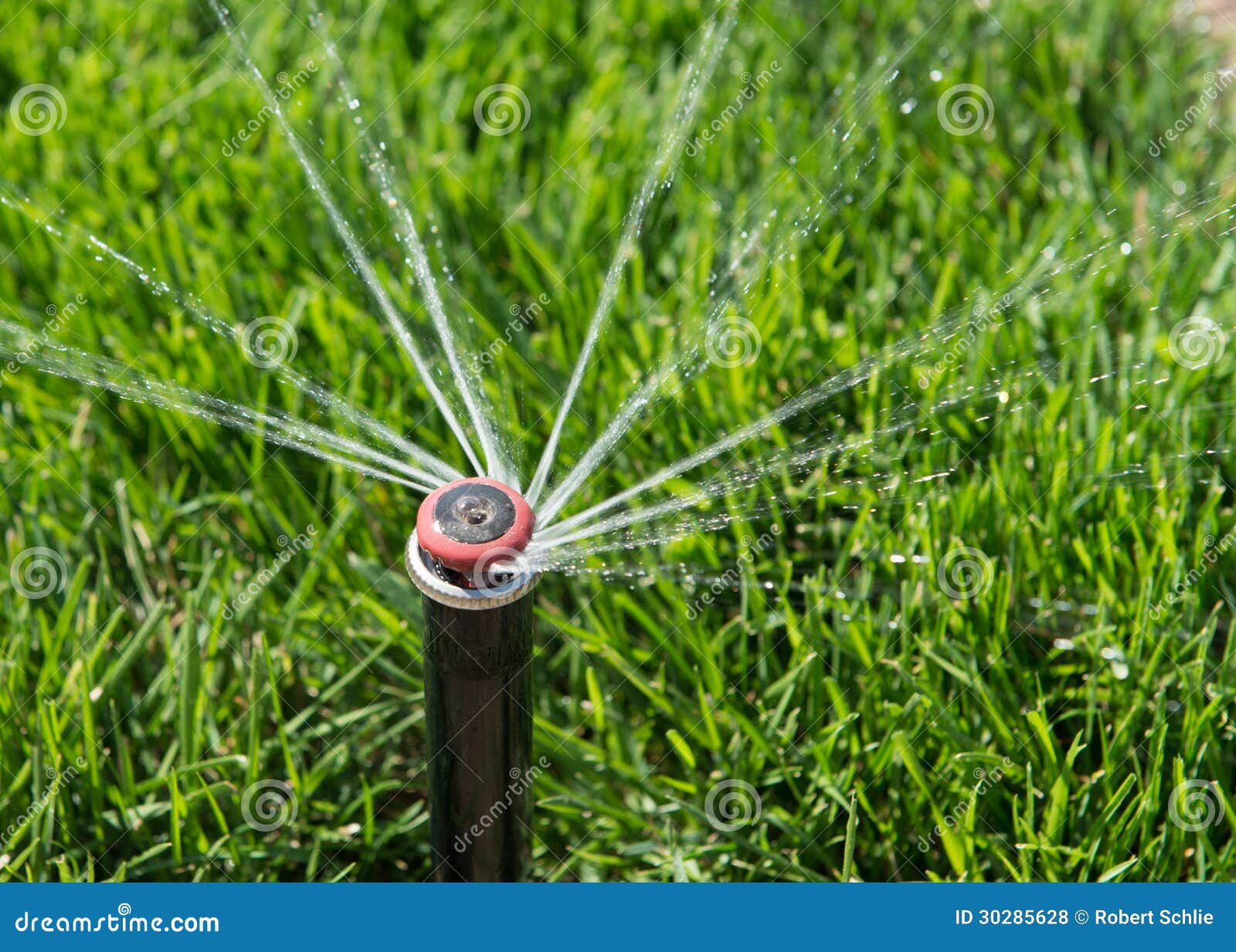Het Hoofd Van De Sproeier Van Het Gazon Stock Foto - Image of droog ...