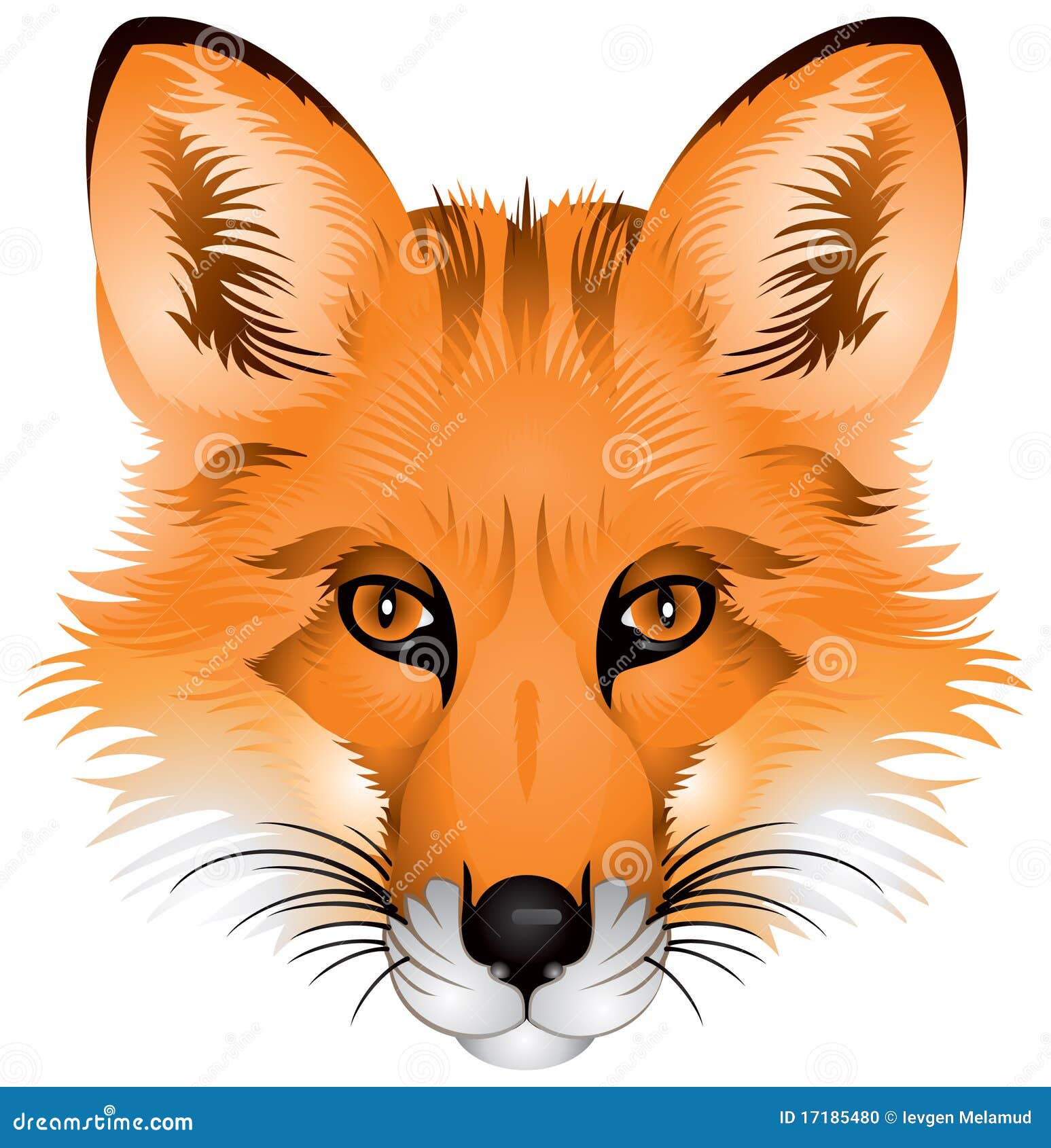 Het Hoofd, Realistische Beeld Van De Vos Vector Illustratie ...