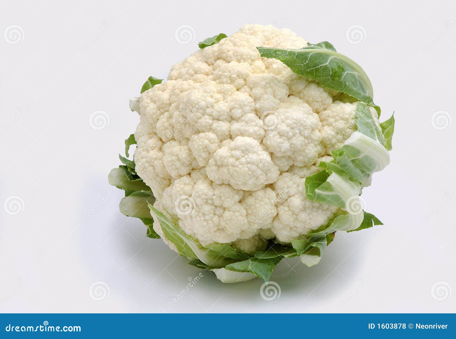 Het hoofd van de Bloemkool stock foto. Image of bloem - 1603878