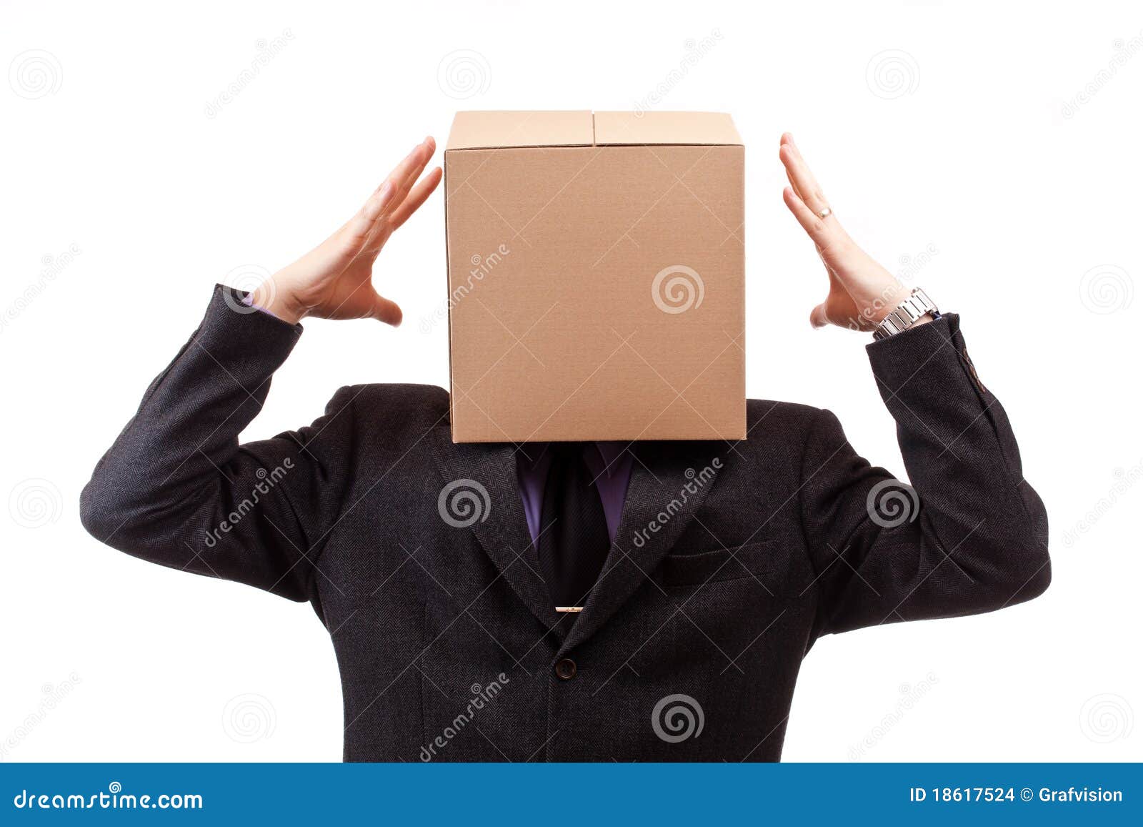 Het Hoofd van de doos stock foto. Image of gezicht, studio - 18617524