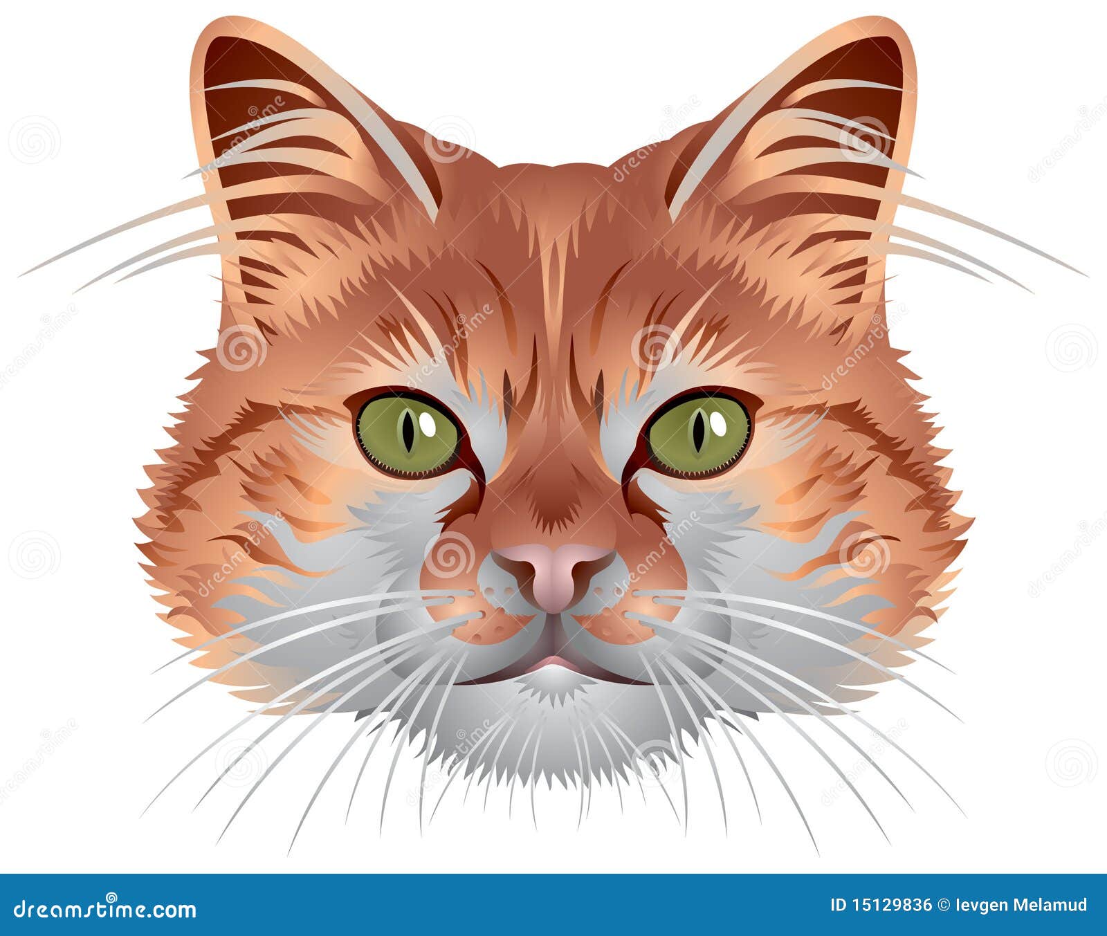 Het hoofd van de kat vector illustratie. Illustration of dier - 15129836