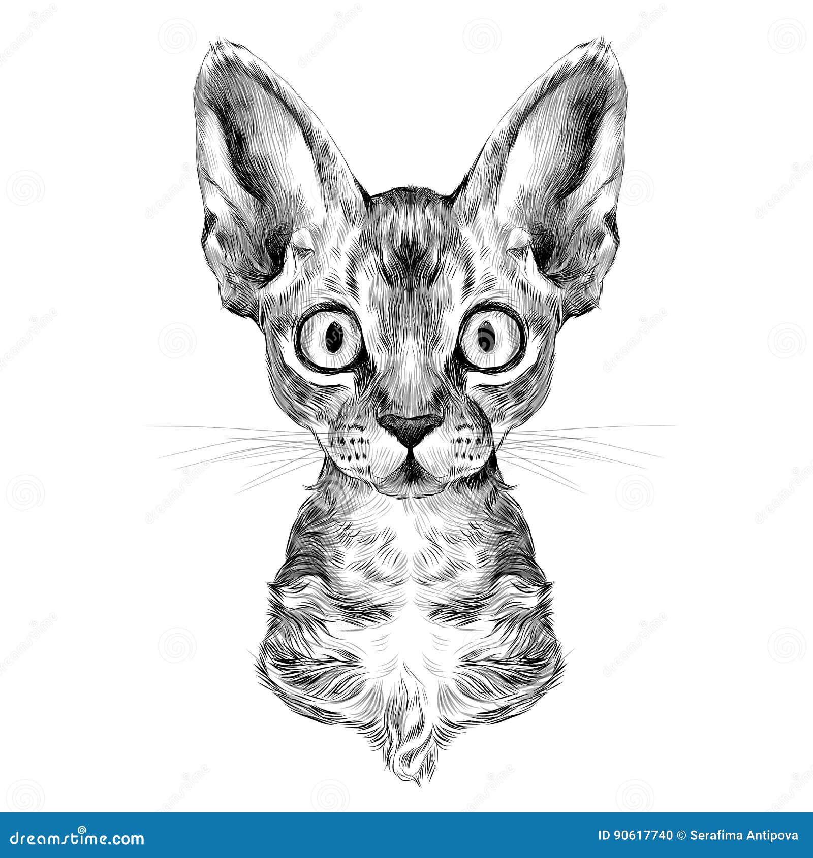 Het Hoofd van een Kat stock illustratie. Illustration of dier - 90617740
