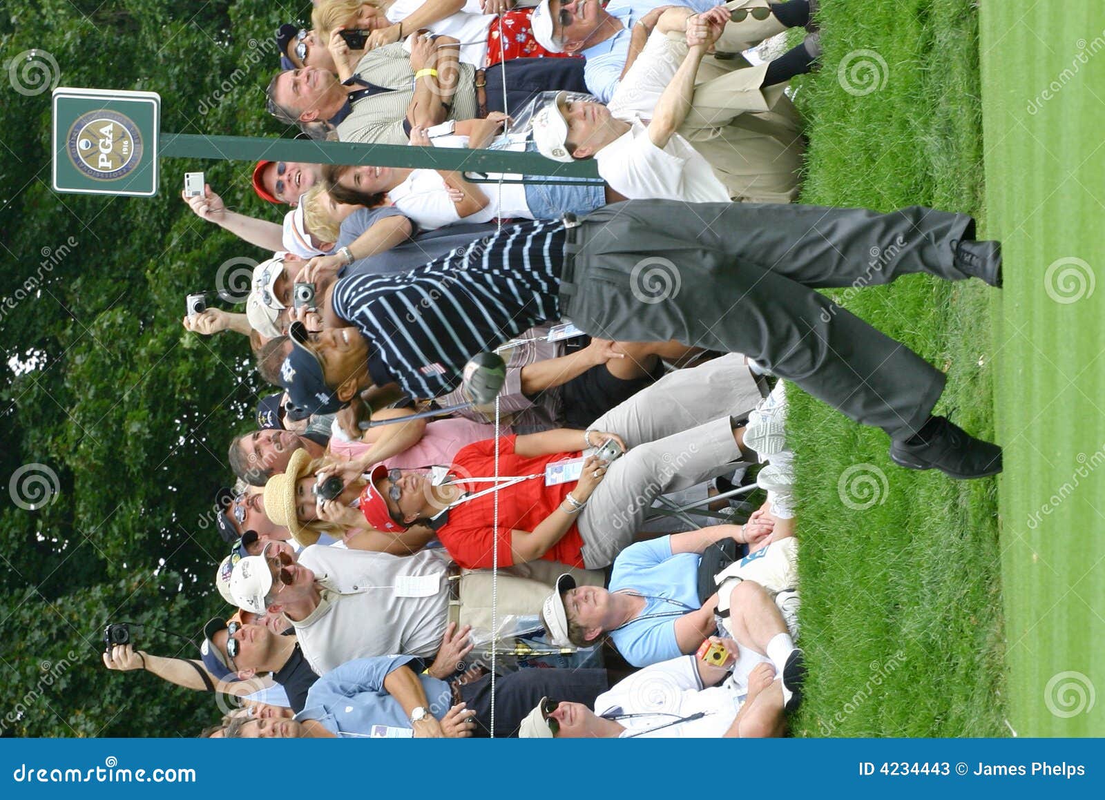 Het Hout van de tijger redactionele stock foto. Image of spaander - 4234443