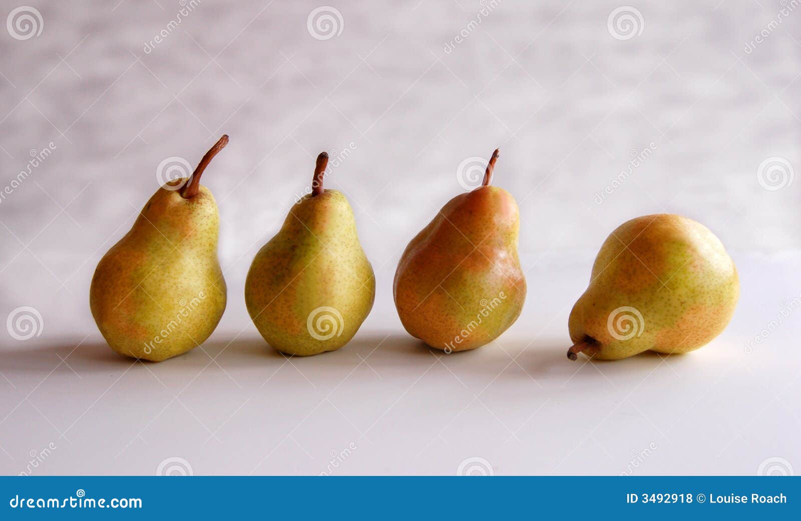 Het Impressionisme Van De Peer Stock Foto - Image of heerlijk ...