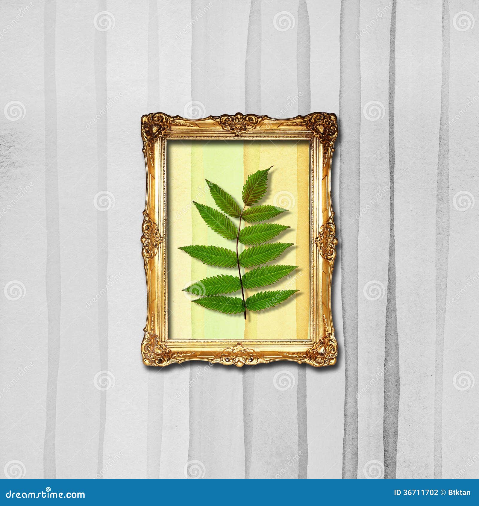 Het Kader van de muurfoto stock foto. Image of groen - 36711702