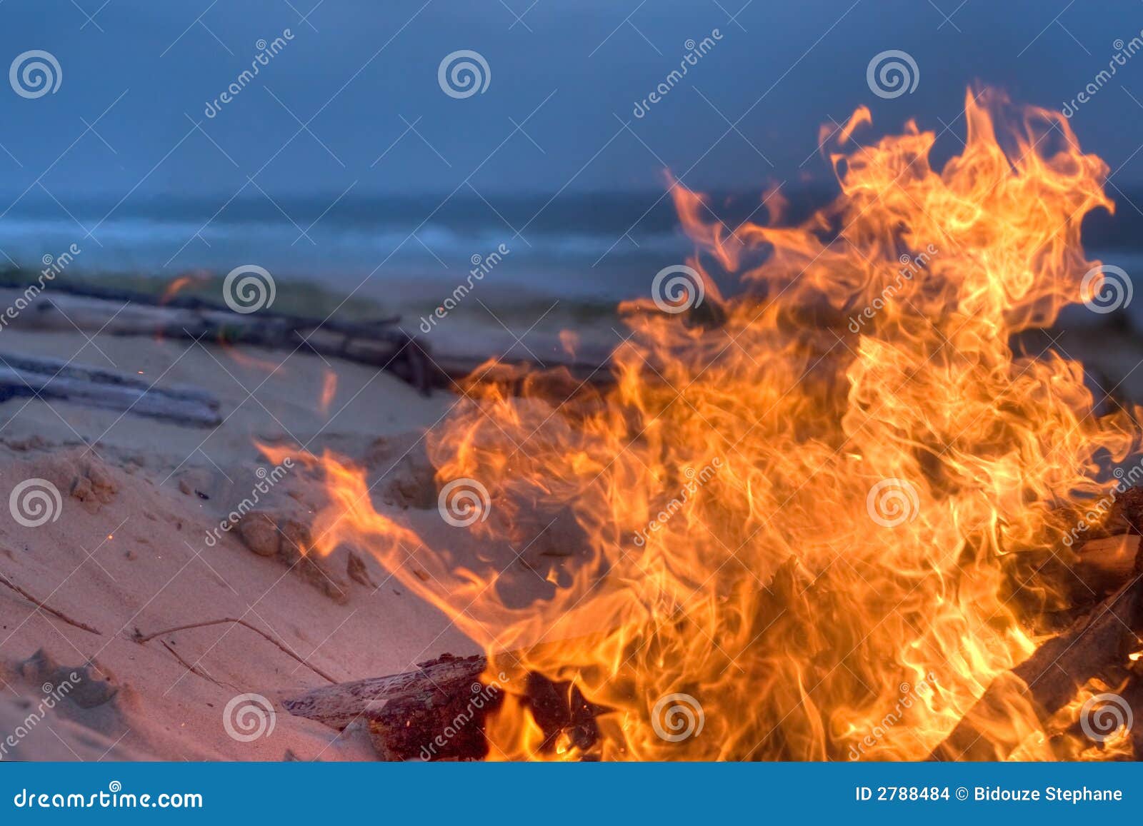 Het Kampvuur Van Het Strand Stock Foto - Image of demon, rooster: 2788484