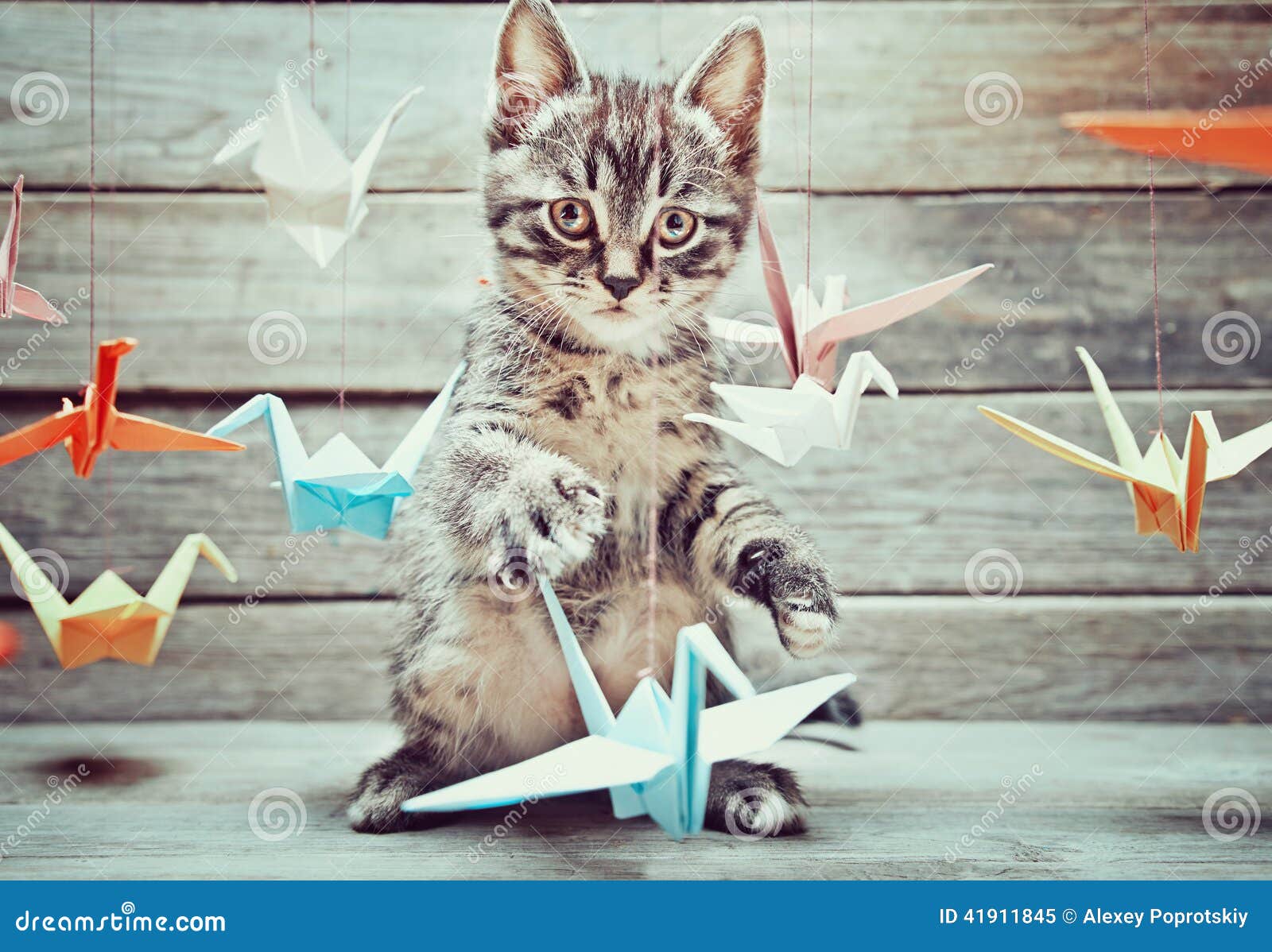 Het Katje Speelt Met Kleurrijke Document Kranen Stock Afbeelding ...