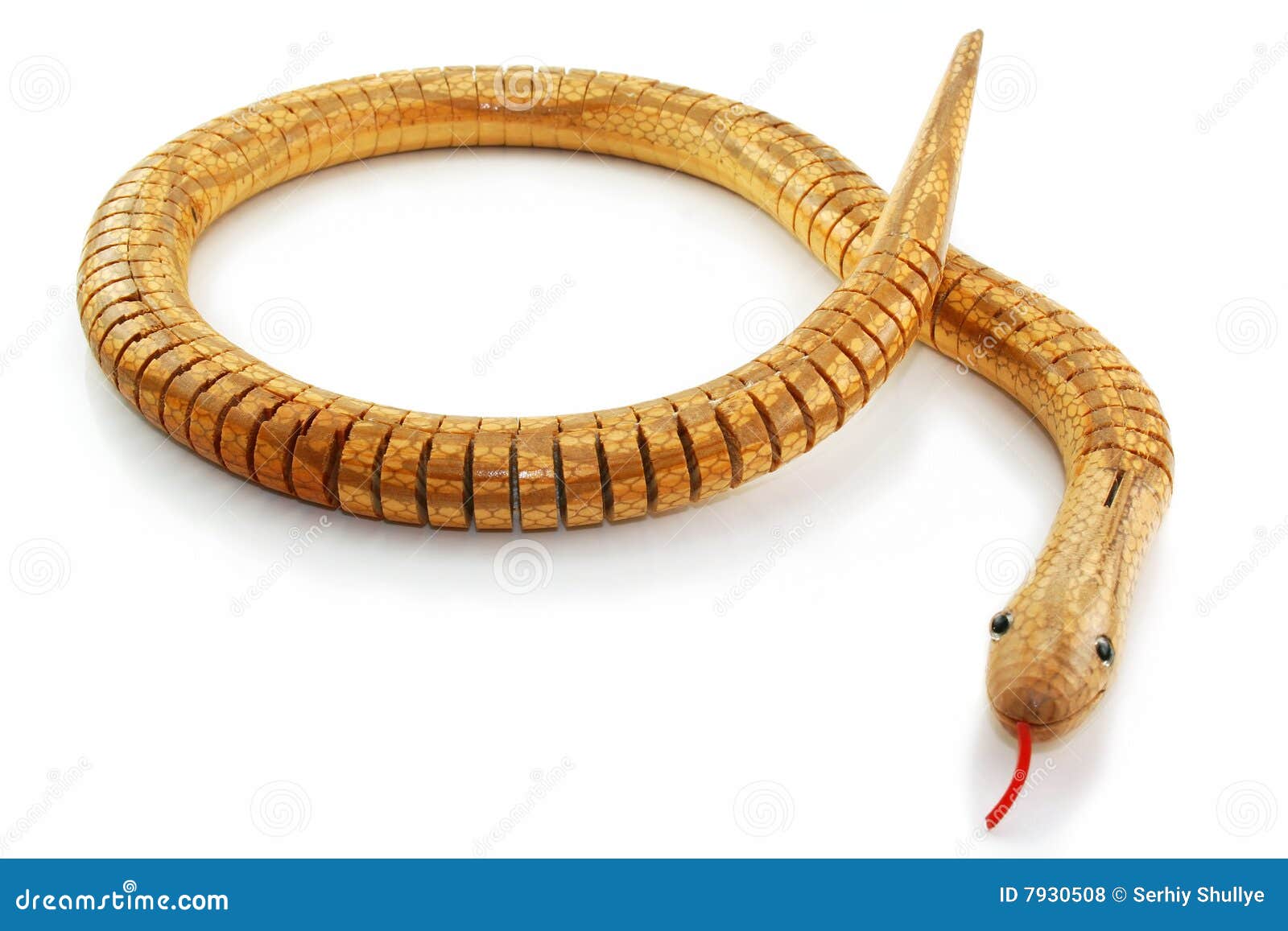 Hout Ratelslang Hoektanden Rainbow Waterslang Of Enhydris Enhydris In