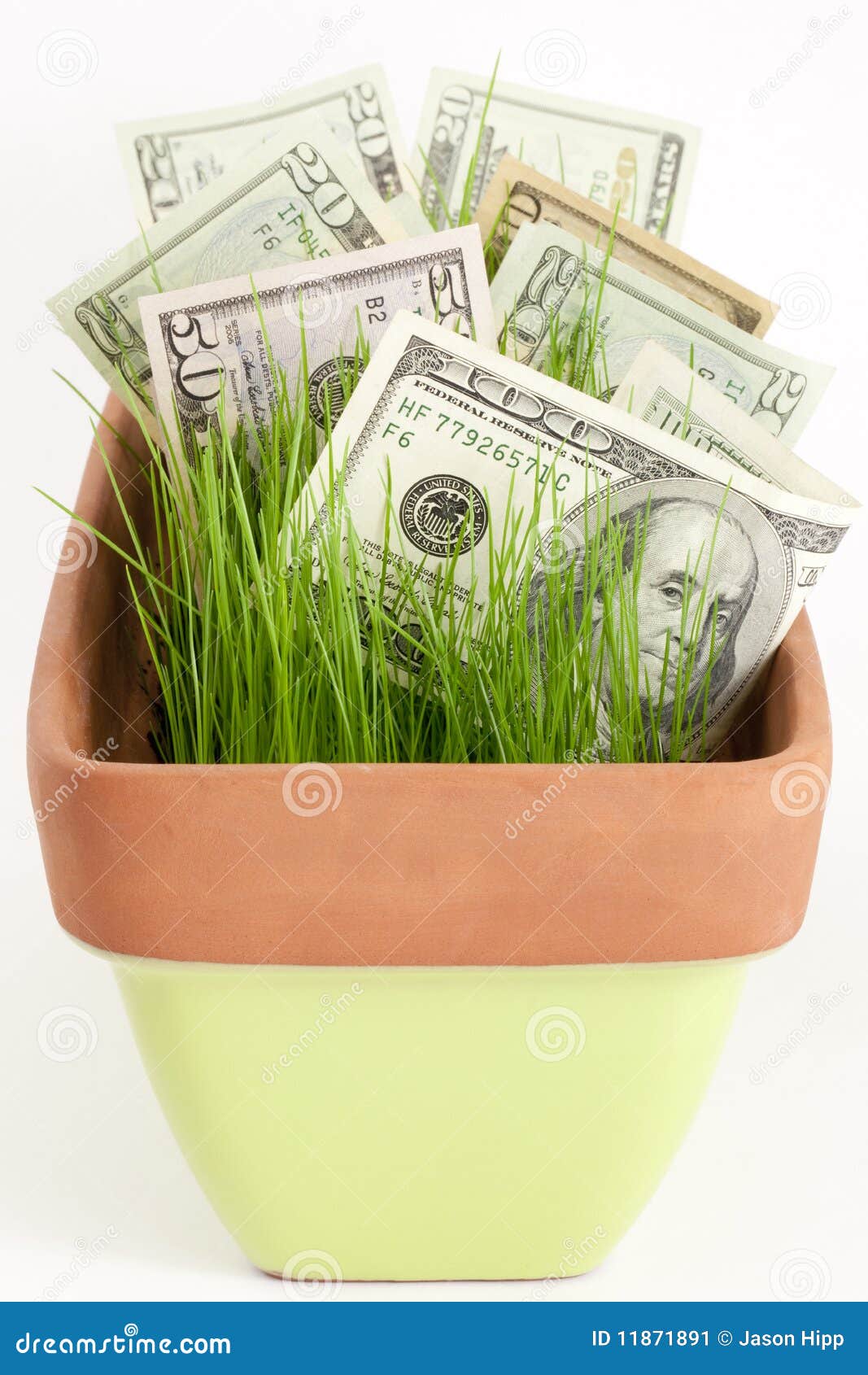 Het Kweken Van Uw Investering Stock Afbeelding - Image of voed ...