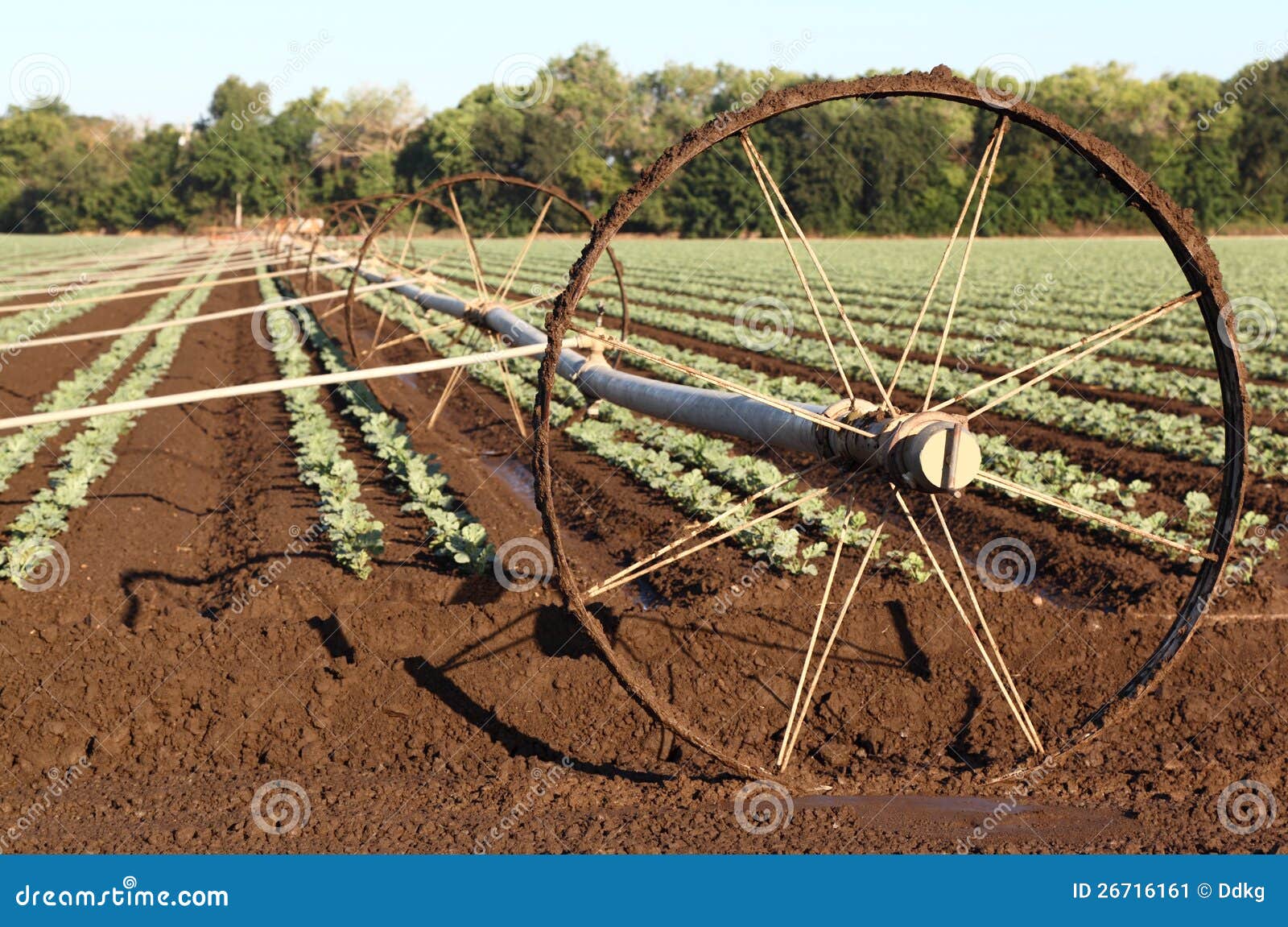 Het Landbouw Systeem Van De Irrigatie Stock Afbeelding - Image of ...