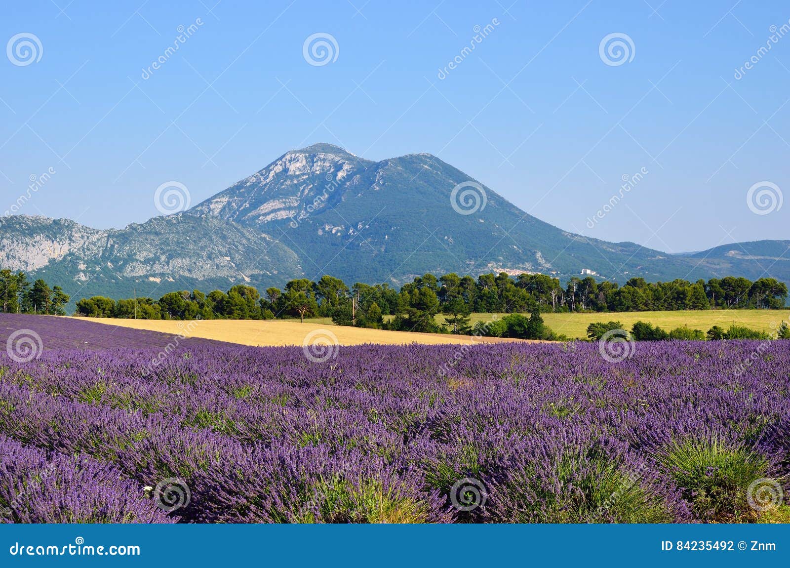 Het Landelijke Landschap Van De Provence Stock Foto - Image of frans ...