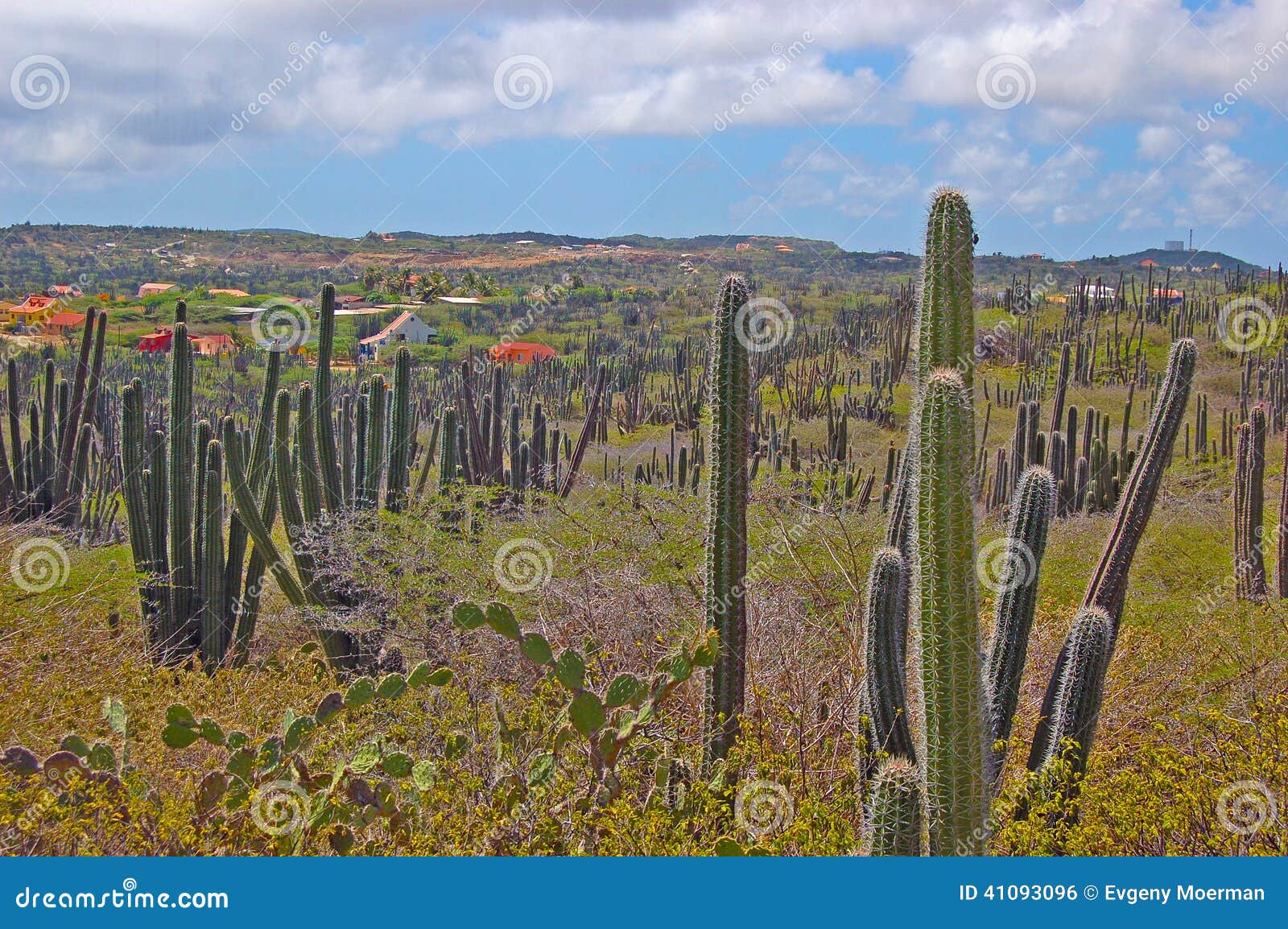 Het Landschap van Aruba stock foto. Image of huizen, blauw - 41093096