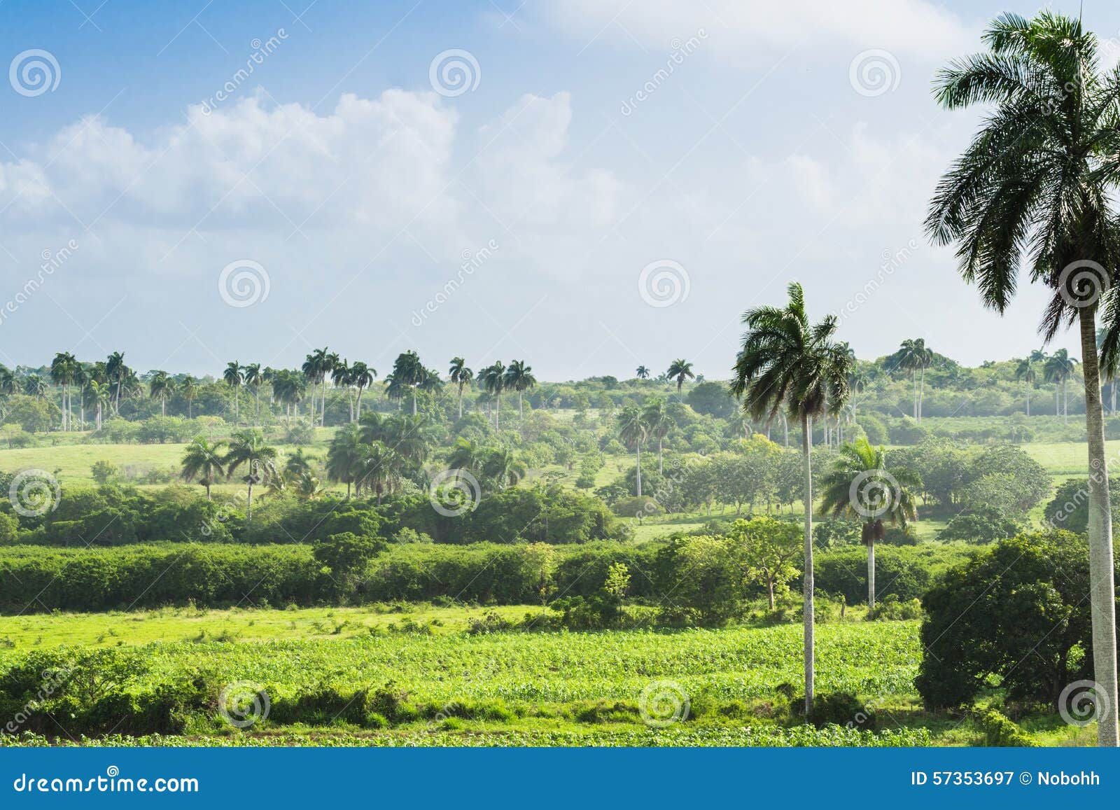 Het Landschap Van Cuba in Het Platteland Dichtbij Varadero Stock ...