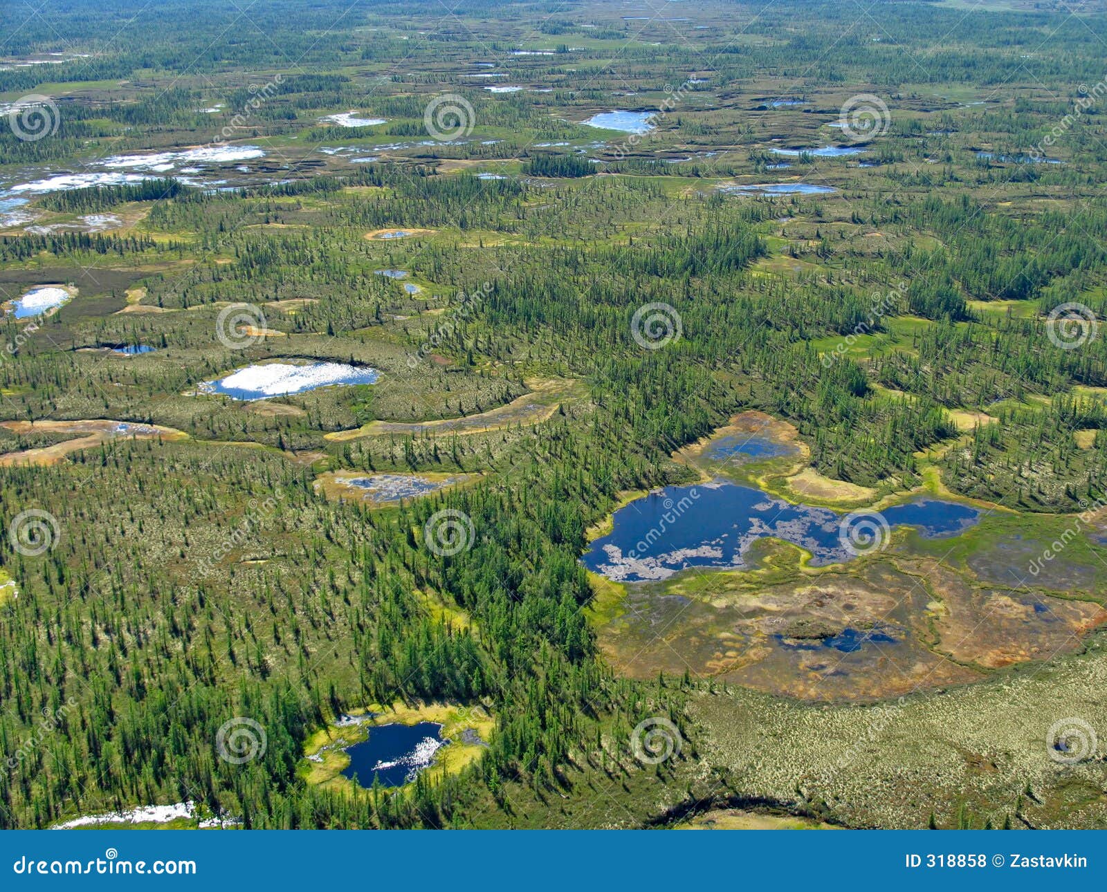 Het Landschap Van De Bos-toendra Stock Foto - Image of lucht, toendra ...