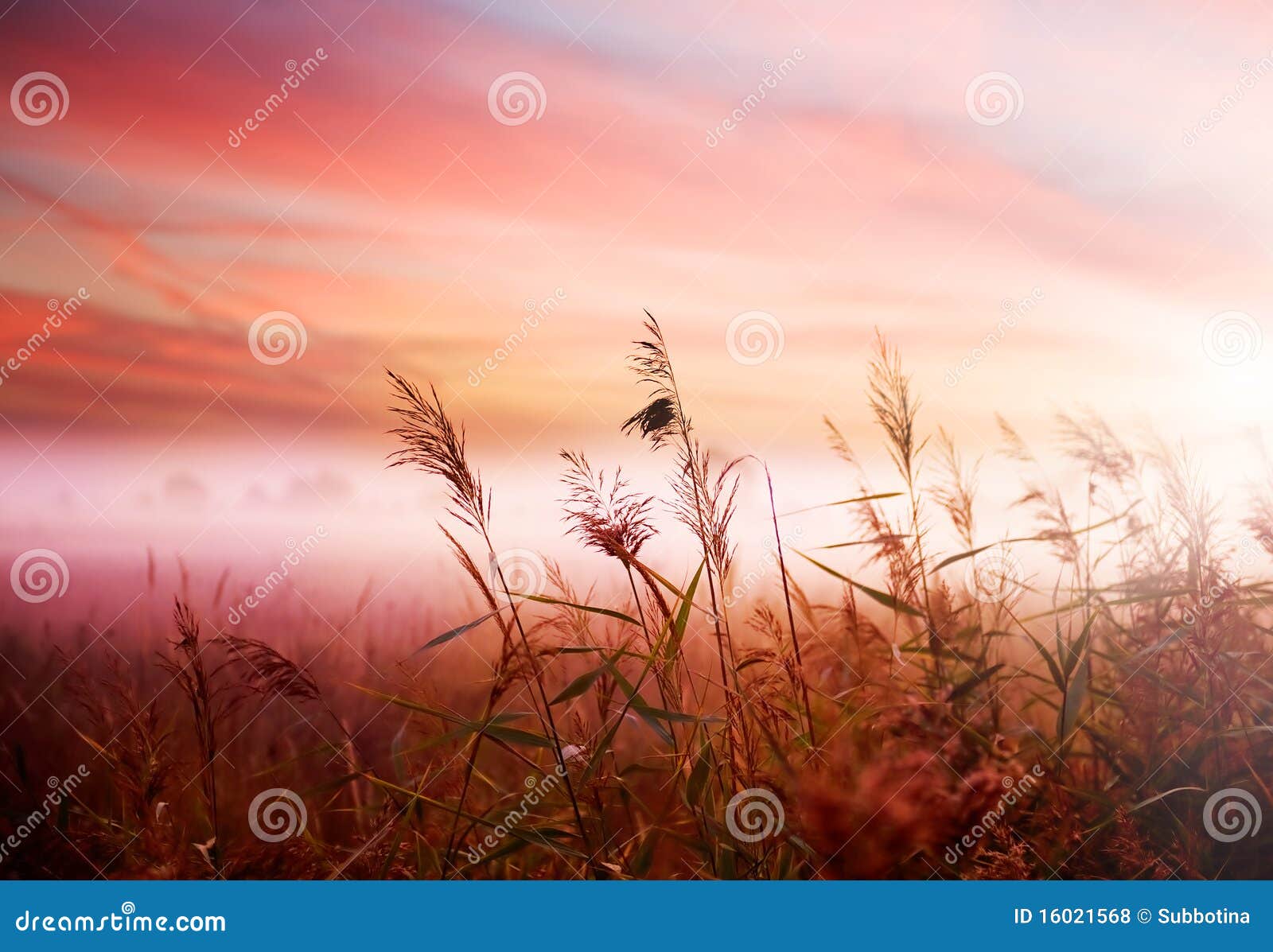 Het Landschap Van De Ochtend Stock Foto - Image of mist, najaar: 16021568