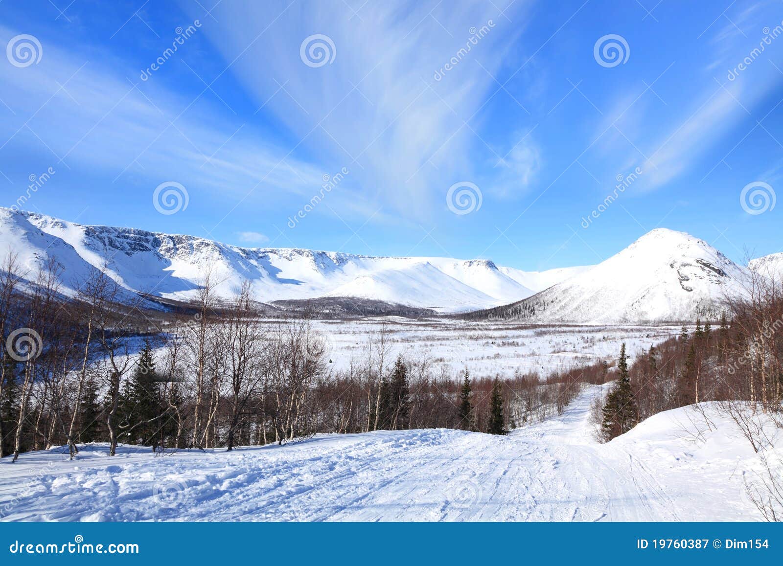 Het Landschap Van De Toendra Stock Afbeelding - Image of vallei ...
