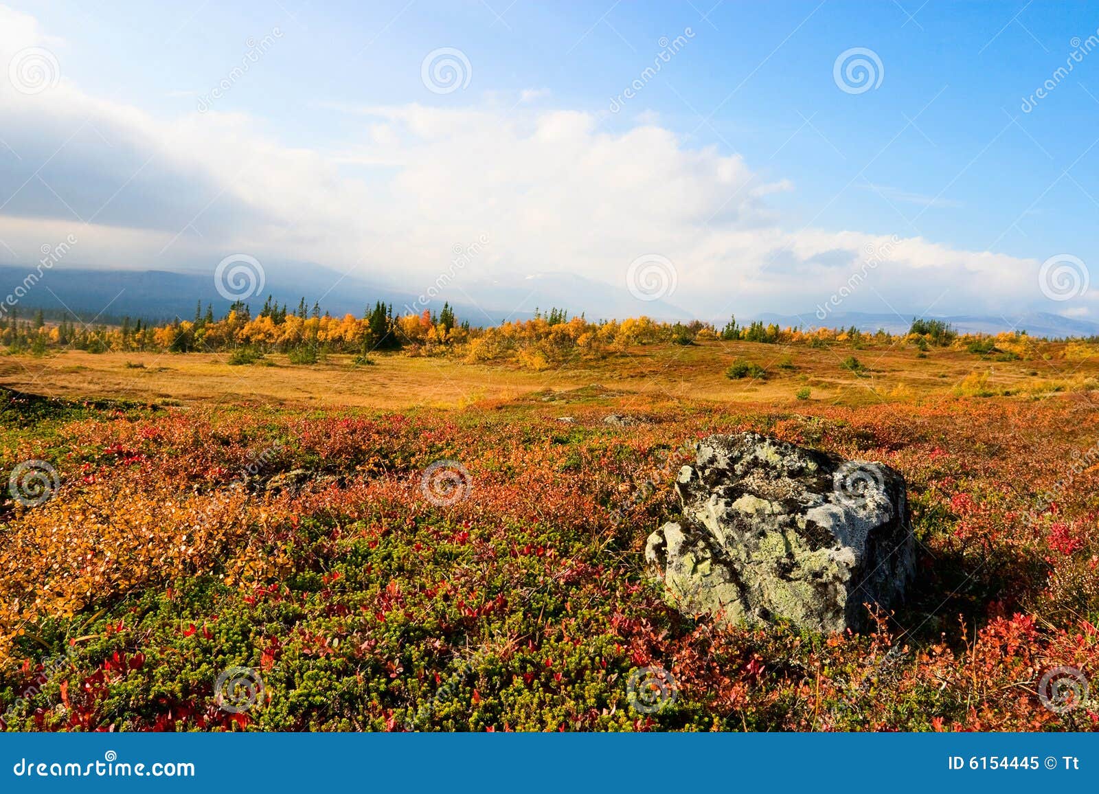 Het Landschap Van De Toendra Stock Afbeelding - Image of trillend ...