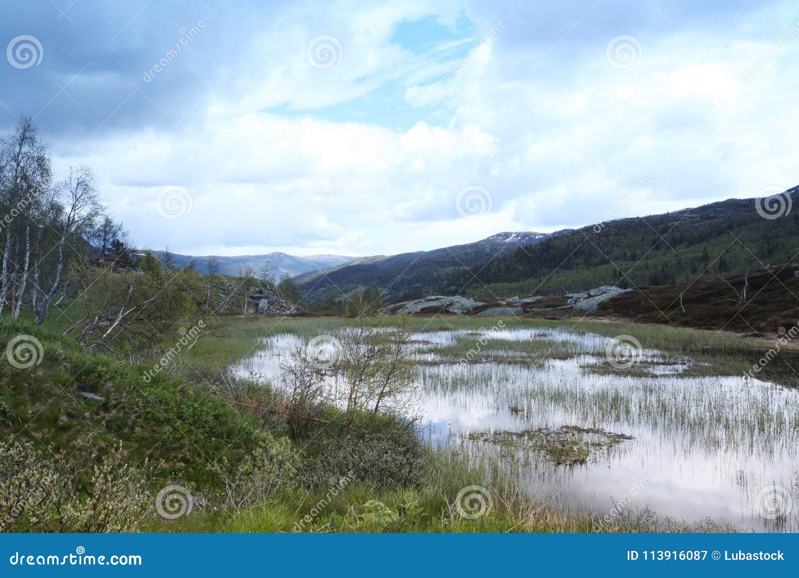 Het Landschap Van De Toendra in Noorwegen Stock Afbeelding - Image of ...