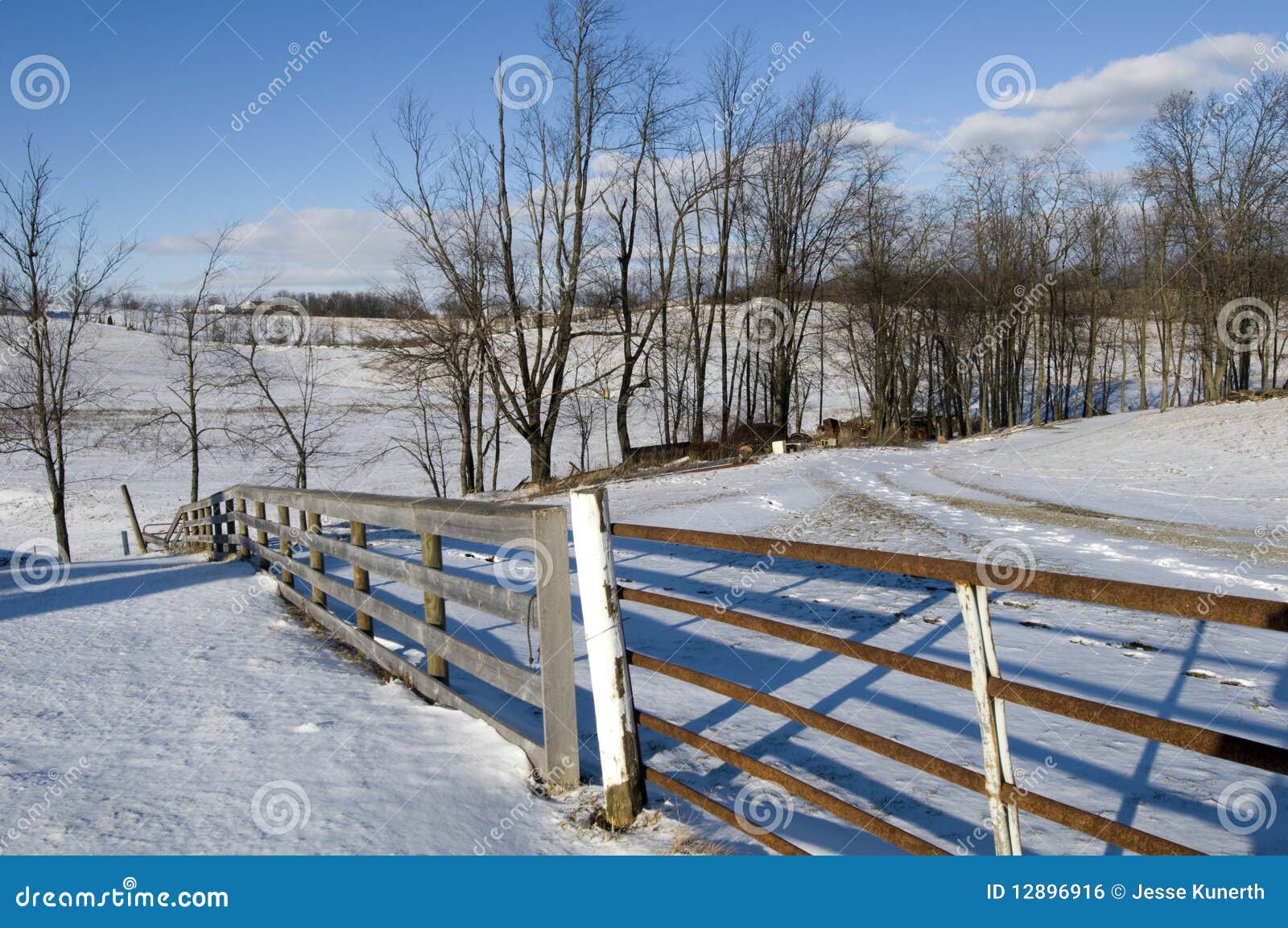 Het Landschap Van De Winter in Ohio Stock Foto - Image of boom, wolken ...