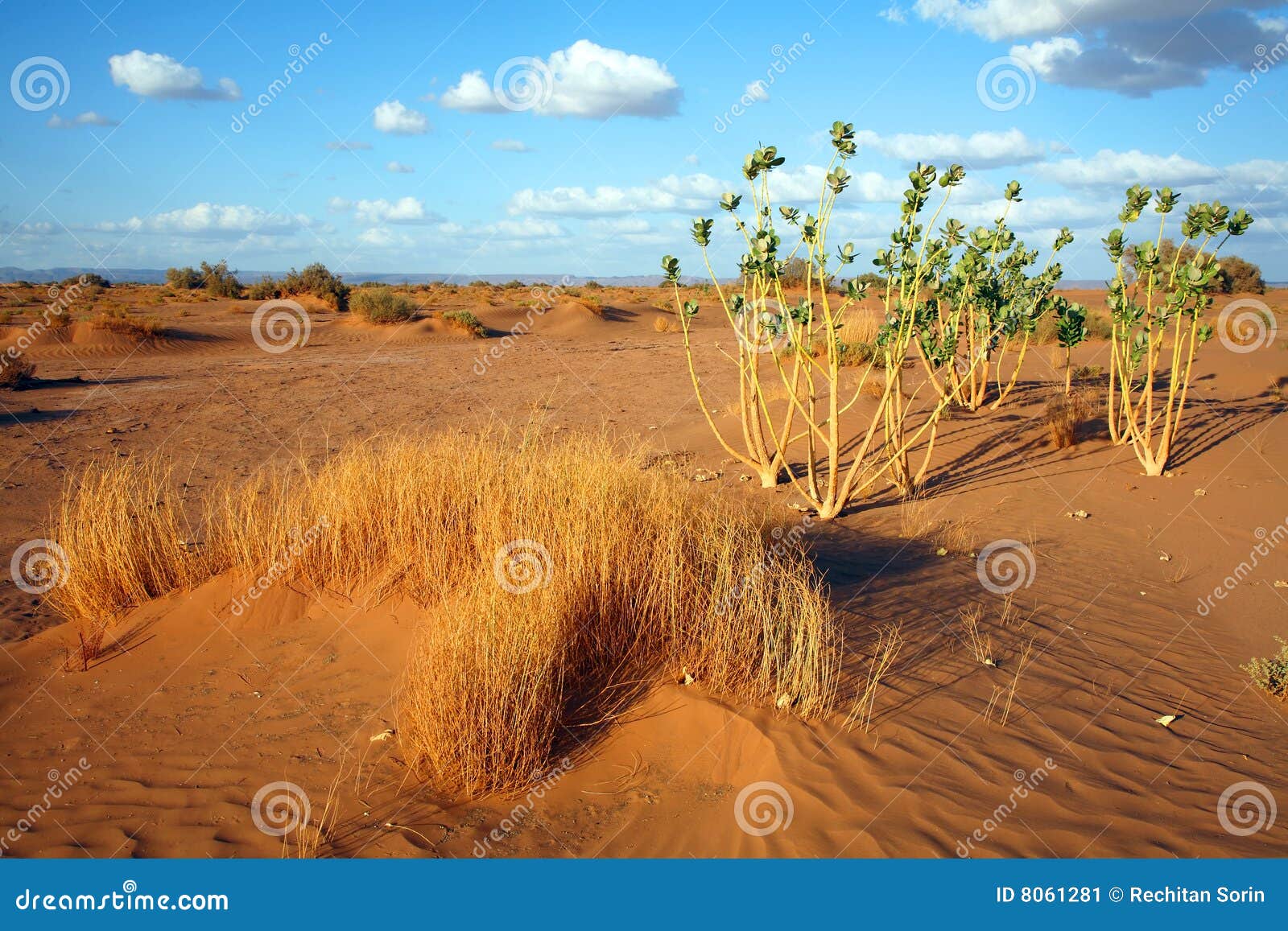 Het Landschap Van De Woestijn Stock Afbeelding - Image of sahara, droog ...