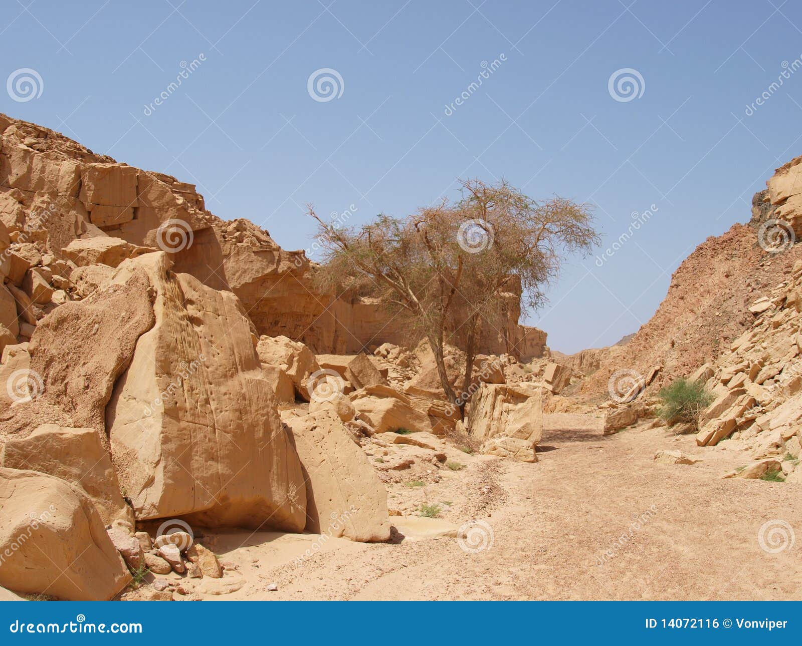 Het Landschap Van De Woestijn Van Sinai Schiereiland Stock Foto - Image ...