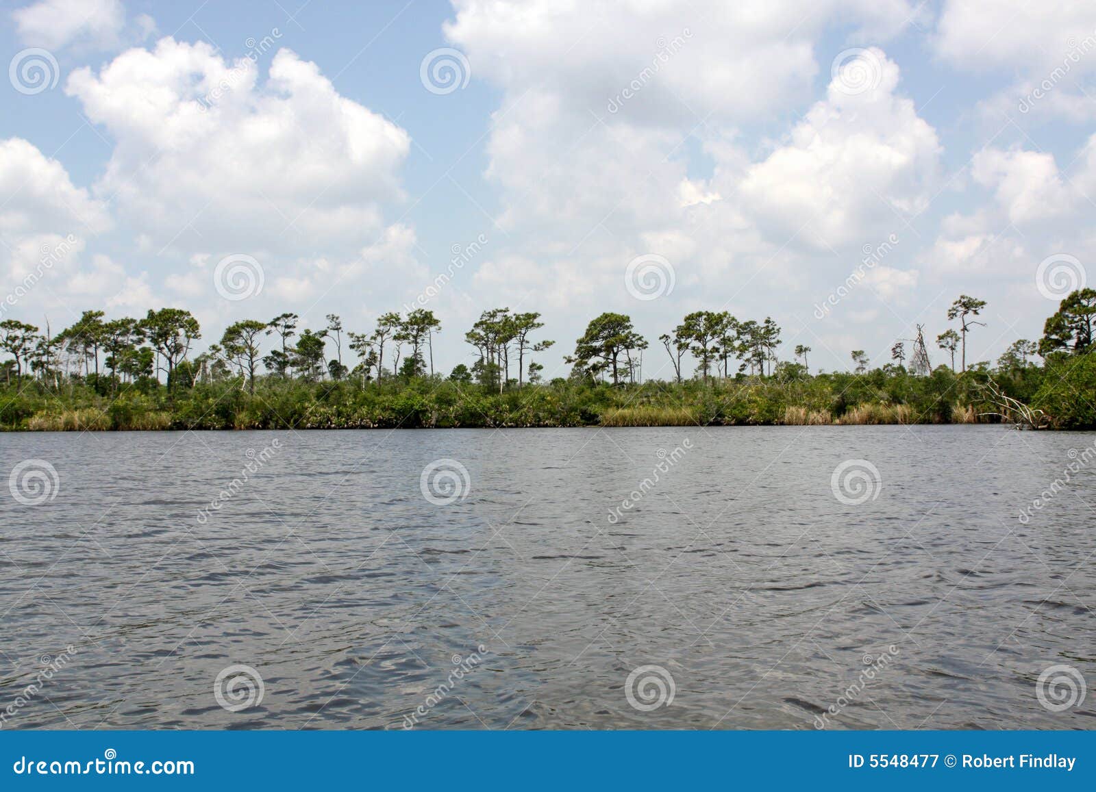 Het Landschap Van Het Ruilmiddel Van Florida Stock Afbeelding - Image ...
