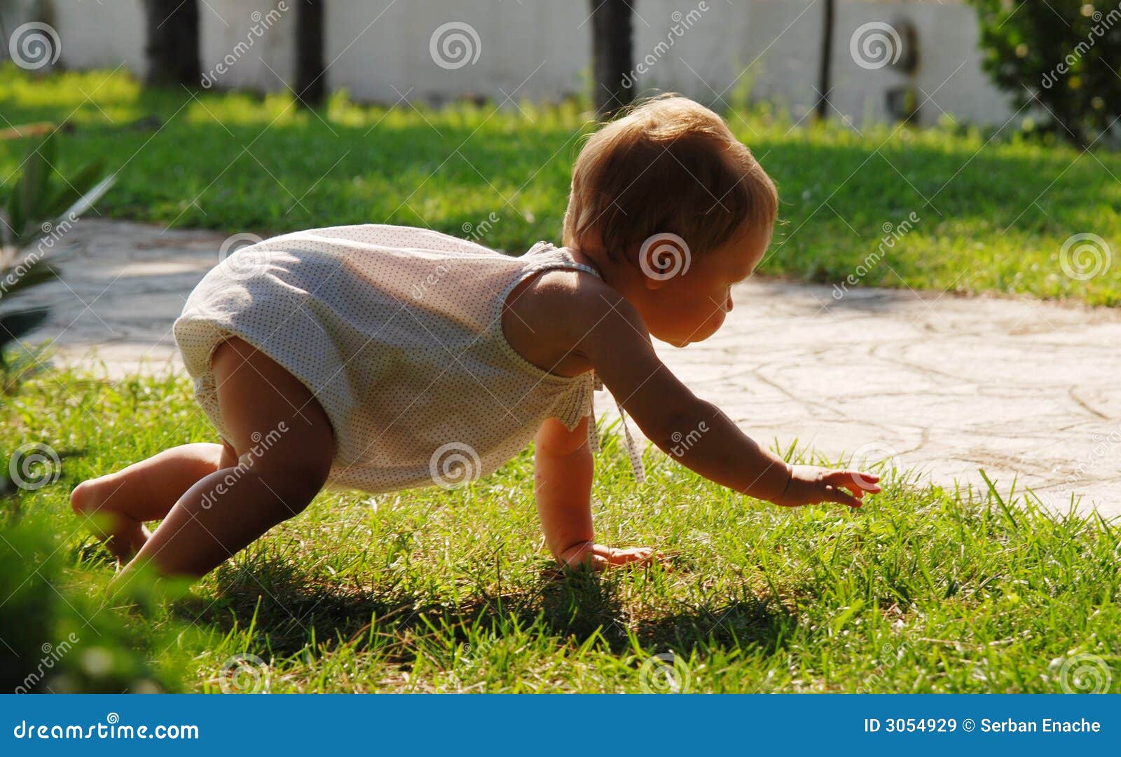 Het leren te lopen stock afbeelding. Image of leren, gras - 3054929