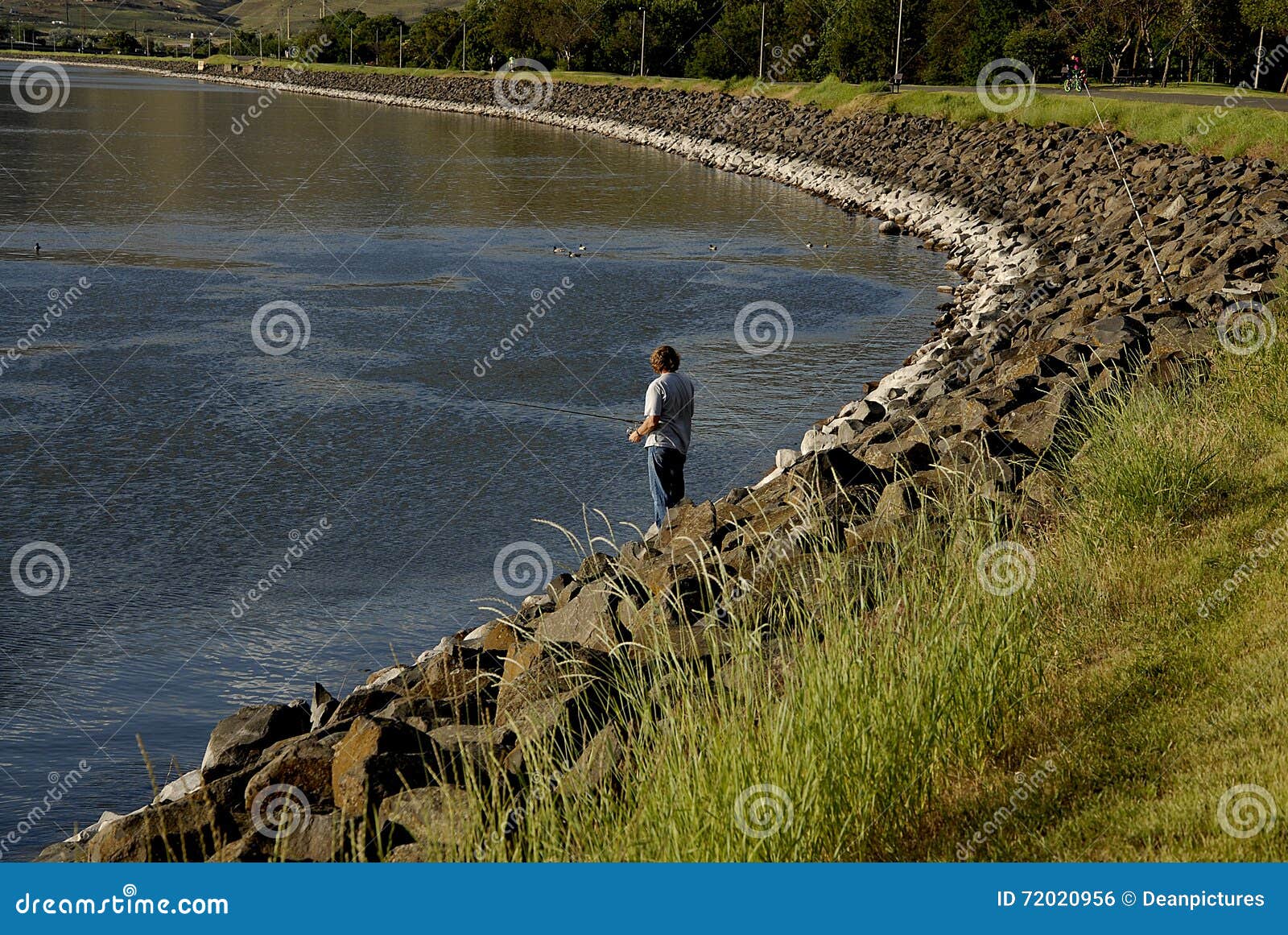 HET LEVEN BIJ DE STEIGER VAN DE SLANGrivier LEWISTON Redactionele Foto ...