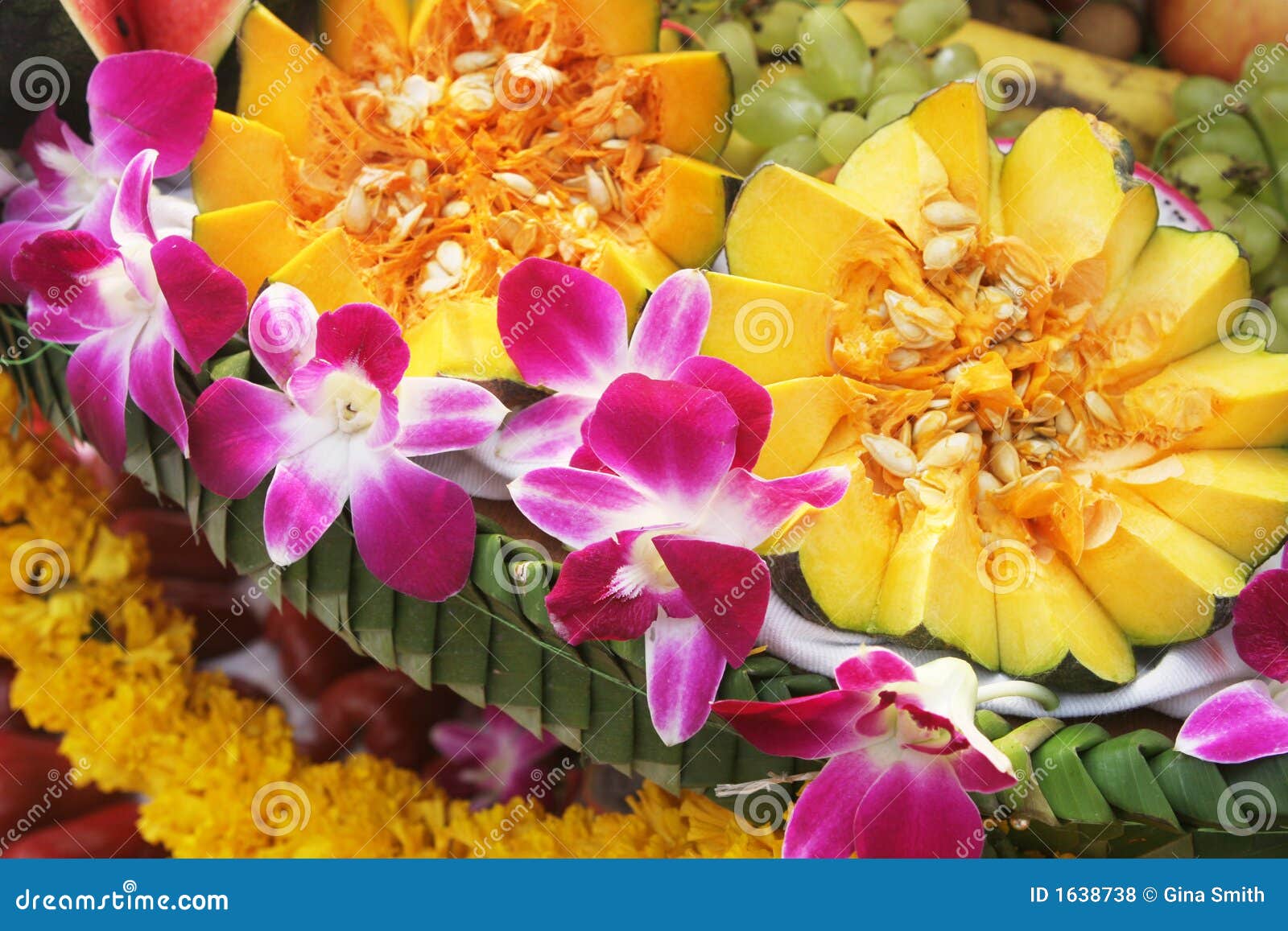 Het Leven in De Keerkringen Stock Foto - Image of stoot, gevoelig: 1638738