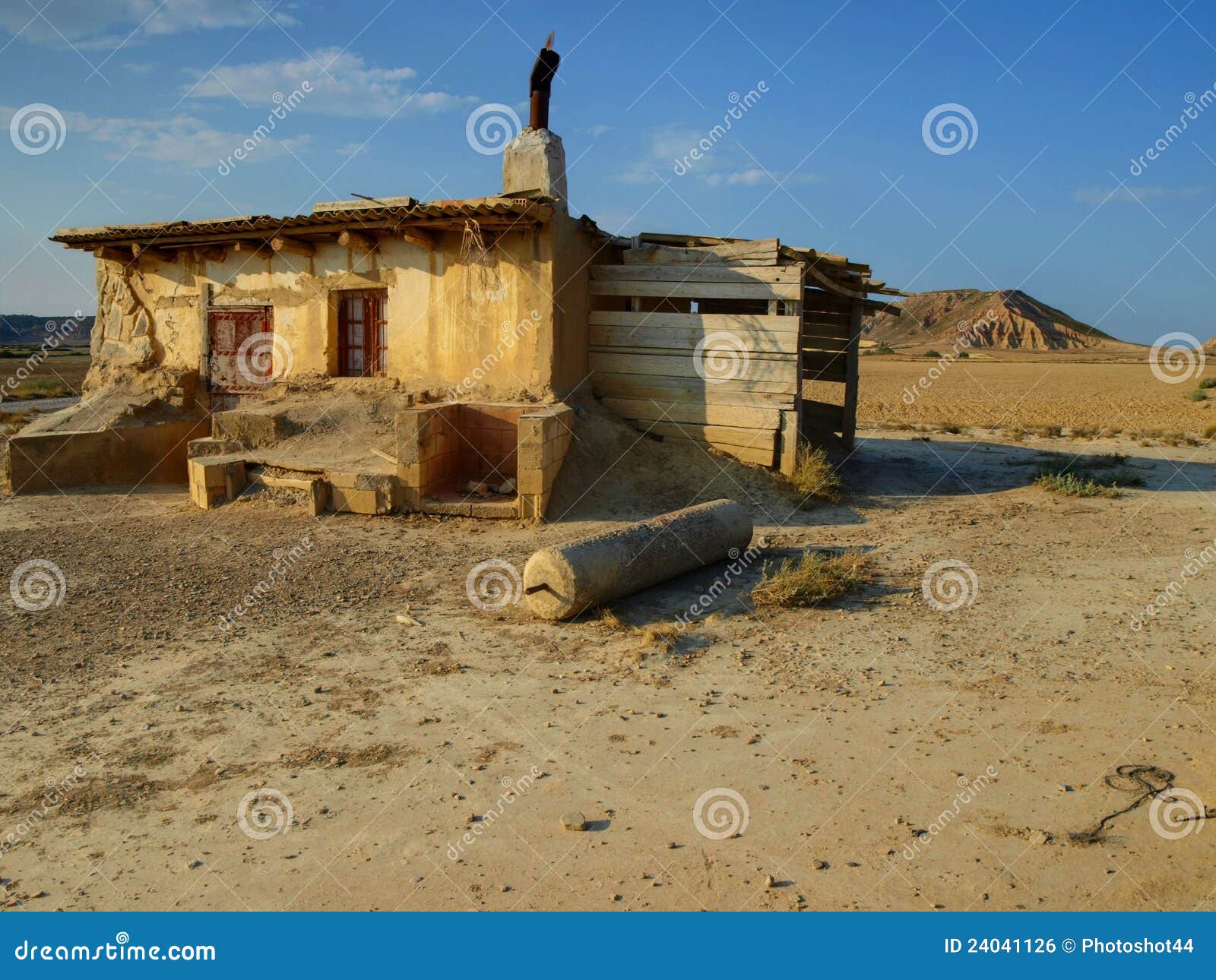Het Leven van de woestijn stock foto. Image of woestijn - 24041126