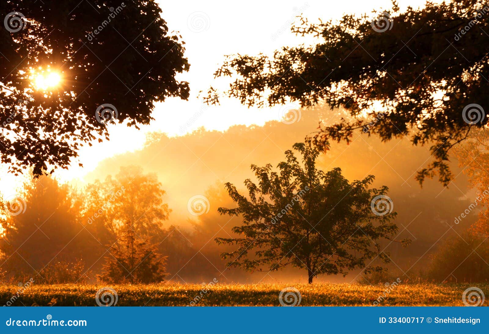 Het Licht Van De Ochtendzon Stock Afbeelding - Image of licht ...