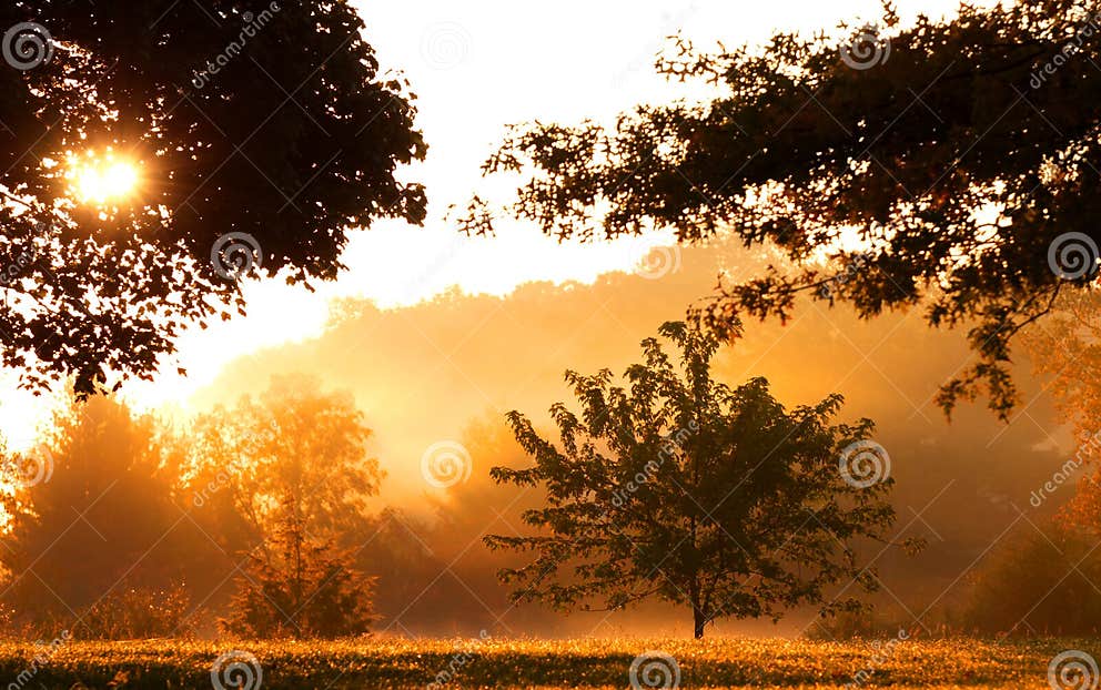 Het Licht Van De Ochtendzon Stock Afbeelding - Image of licht ...