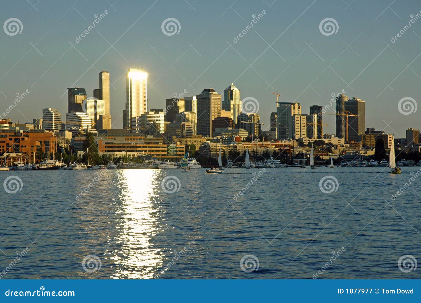 Het Licht Van De Vlek Op Seattle Stock Afbeelding - Image of jachthaven ...