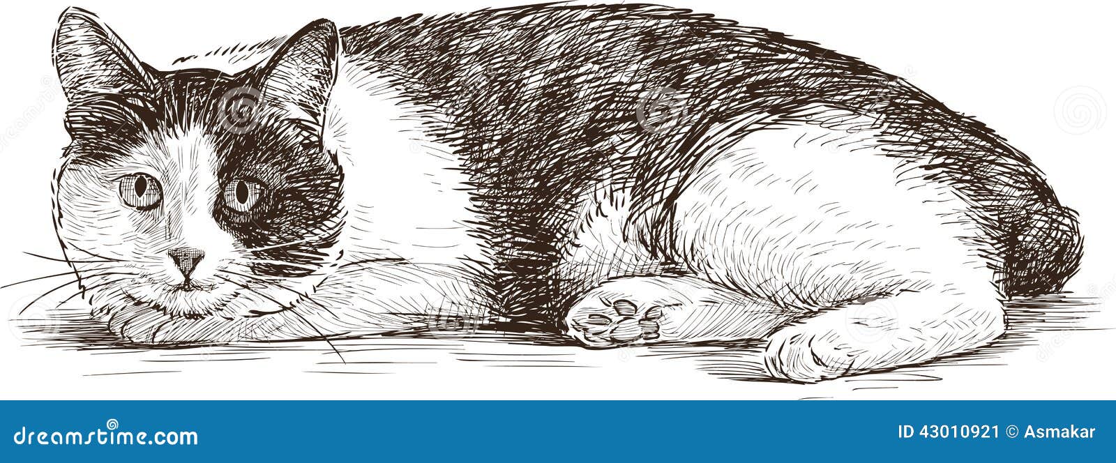 Het Liggende Kat Letten Op Vector Illustratie - Beeld: 43010921
