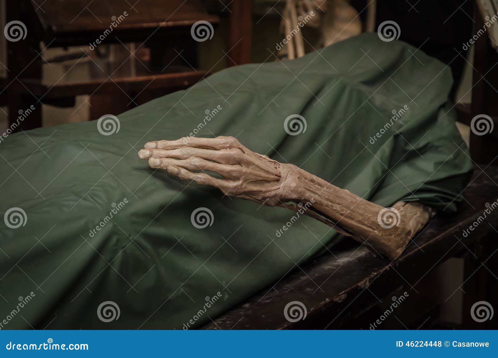 Het lijk stock foto. Image of dood, nadruk, lichaam, bederf - 46224448