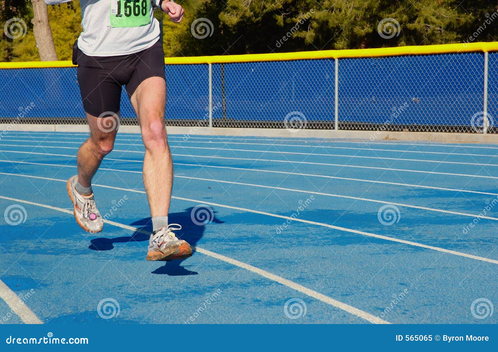 Het Lopen Picture. Image: 565065