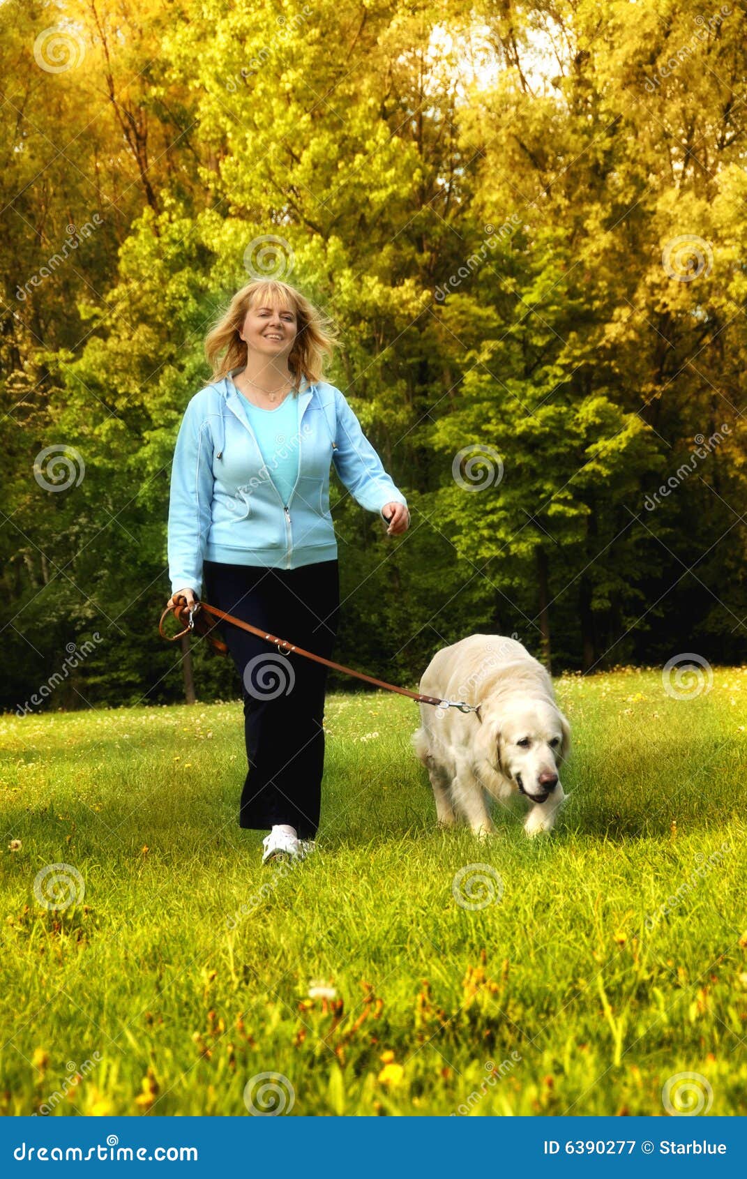 Het lopen met hond stock afbeelding. Image of blond, vrouw - 6390277