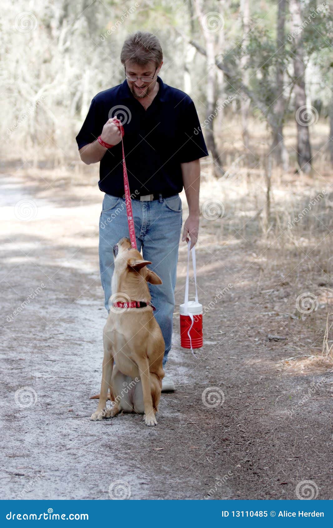 Het Lopen van de hond stock afbeelding. Image of hond - 13110485