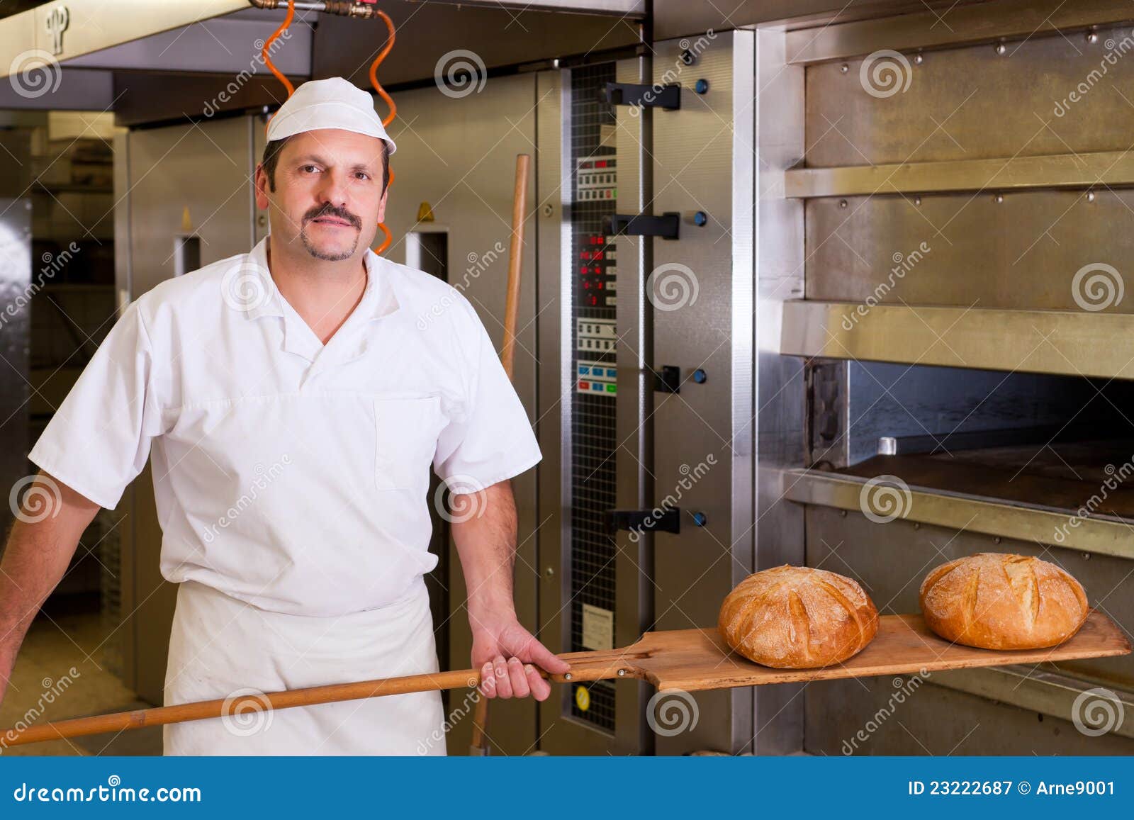 Het Mannelijke Brood Van Het Bakkersbaksel Stock Afbeelding - Image of ...